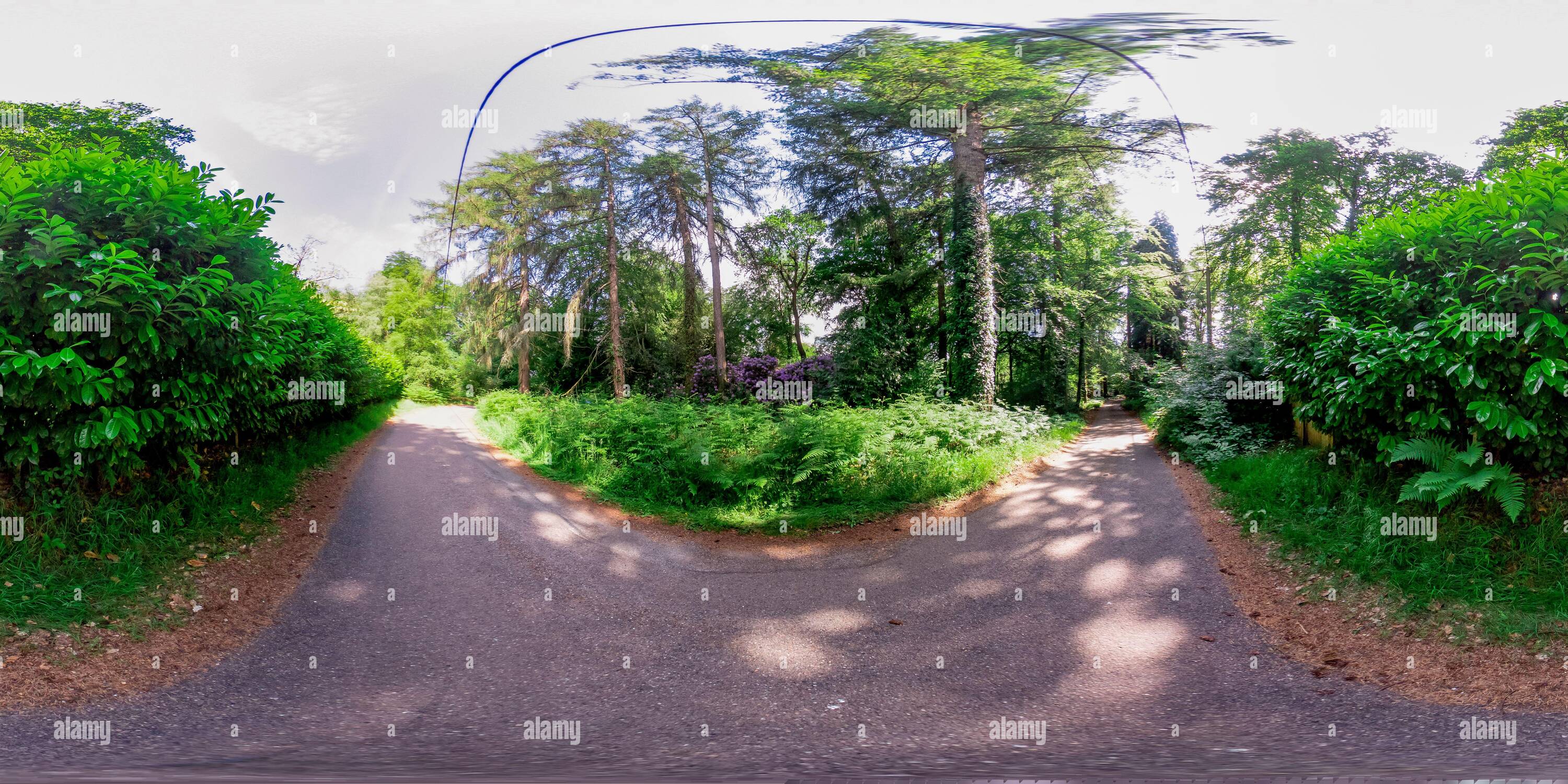 360° view of Full spherical seamless panorama 360 degrees angle view ...