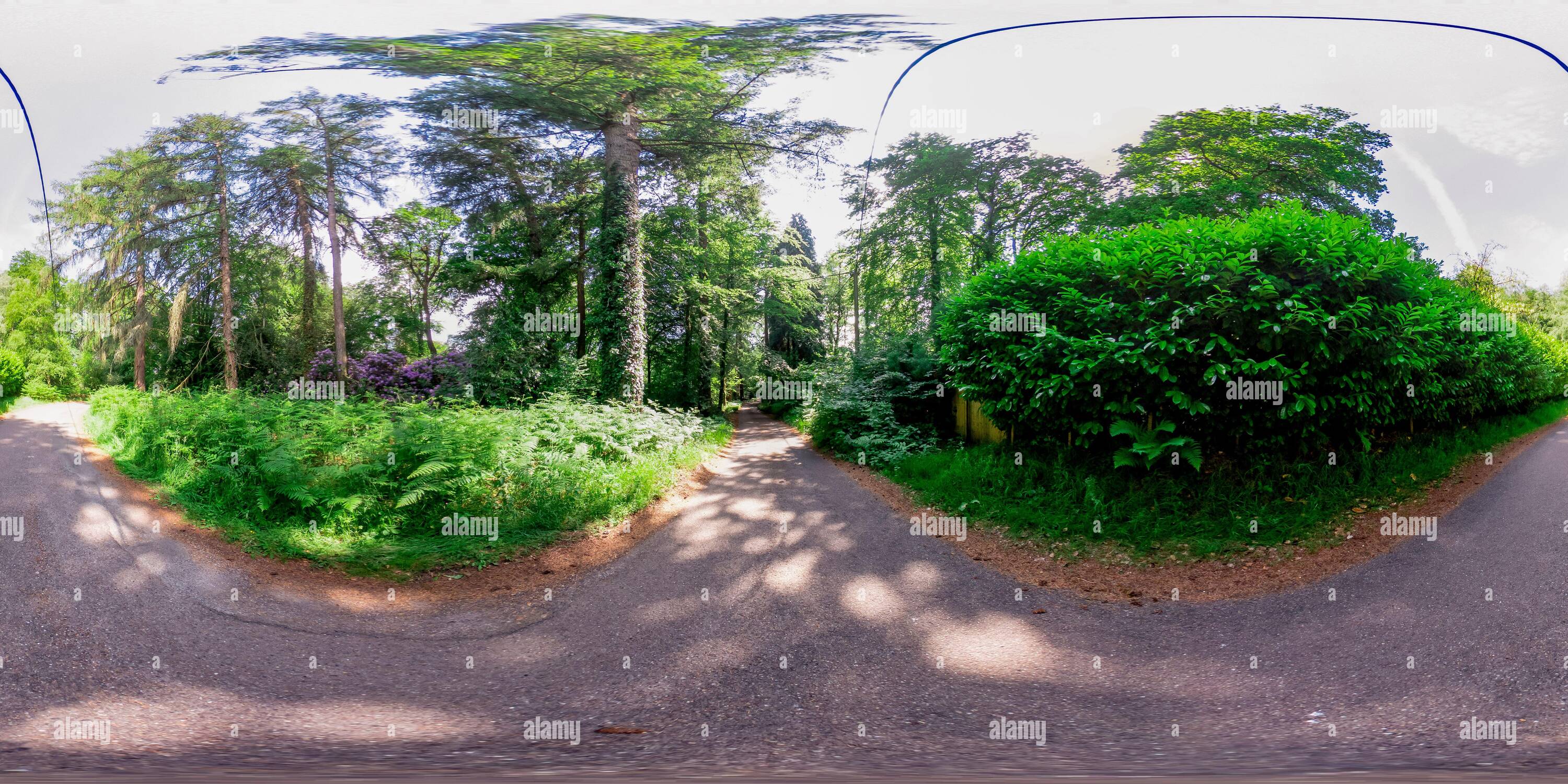 360° view of Full spherical seamless panorama 360 degrees angle view ...