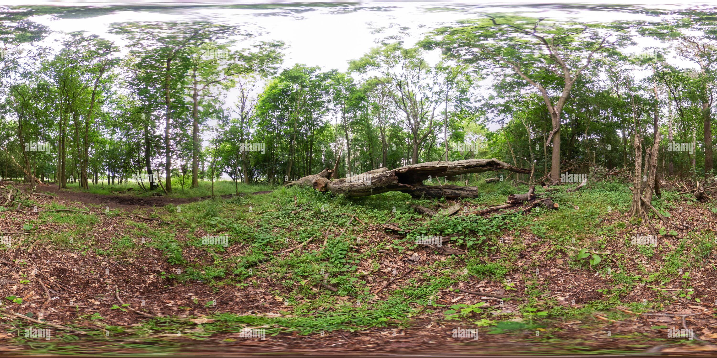 360° view of Full spherical seamless panorama 360 degree angle view of ...