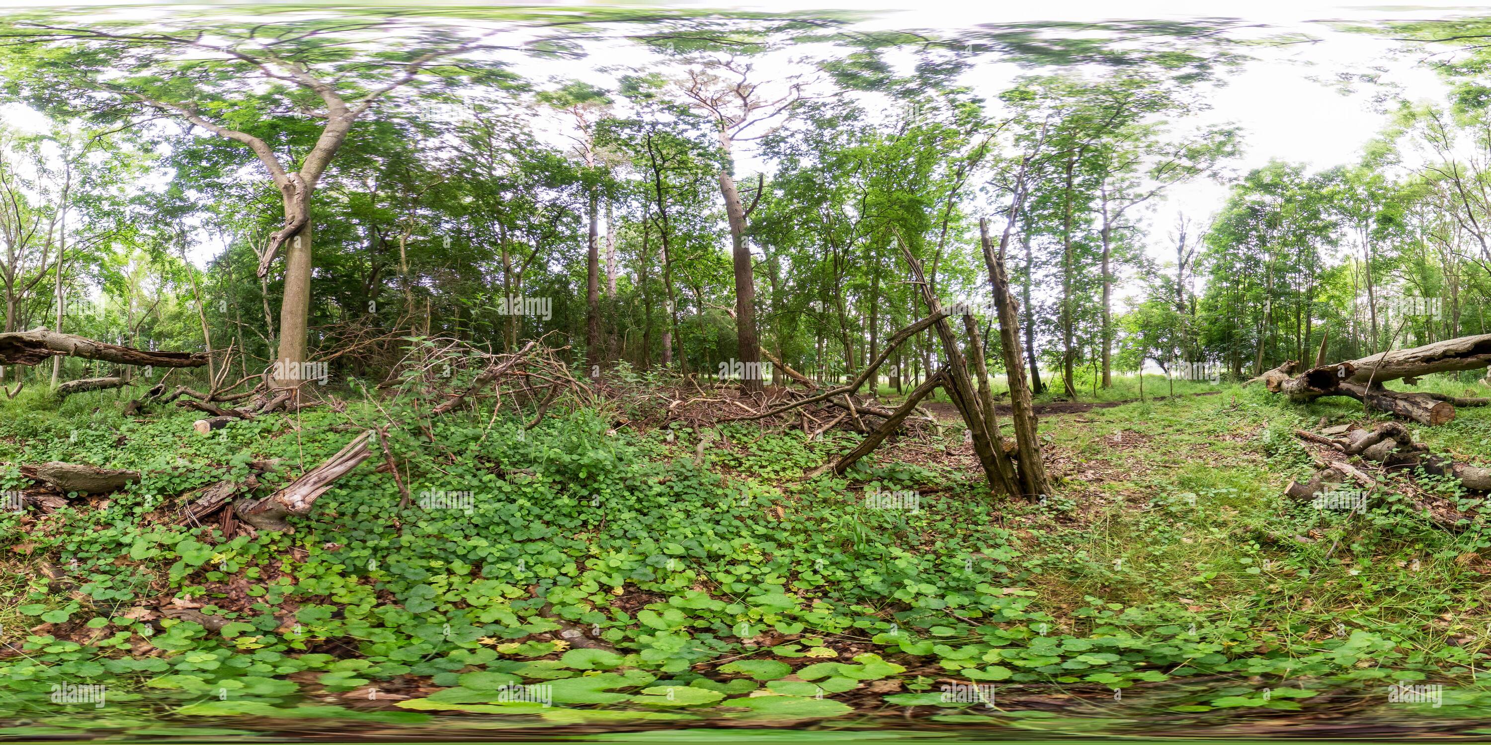 360° view of Full spherical seamless panorama 360 degree angle view of ...