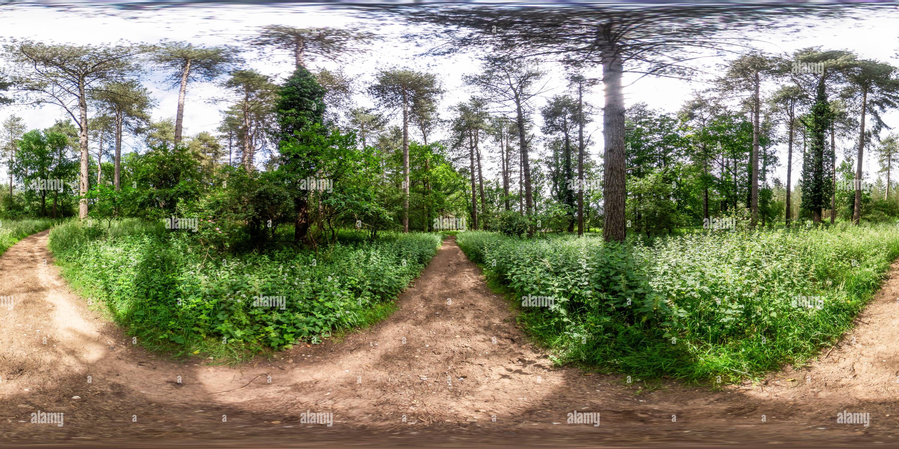 360° view of Full spherical seamless panorama 360 degree angle view of ...