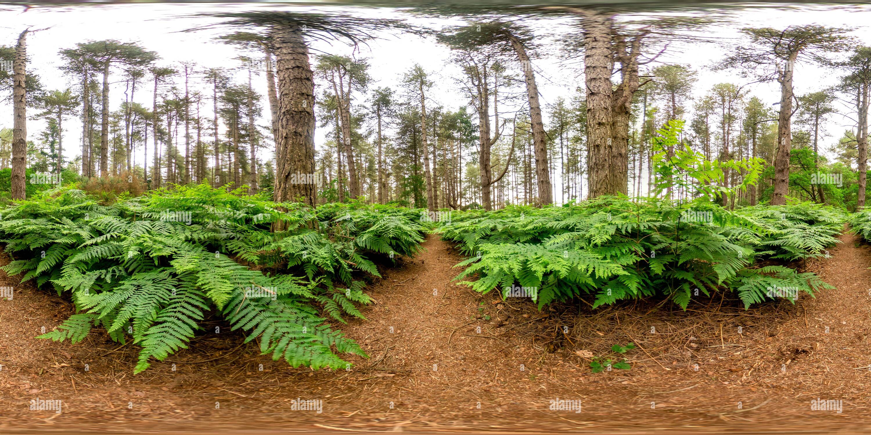 360° view of Full spherical seamless panorama 360 degree angle view ...