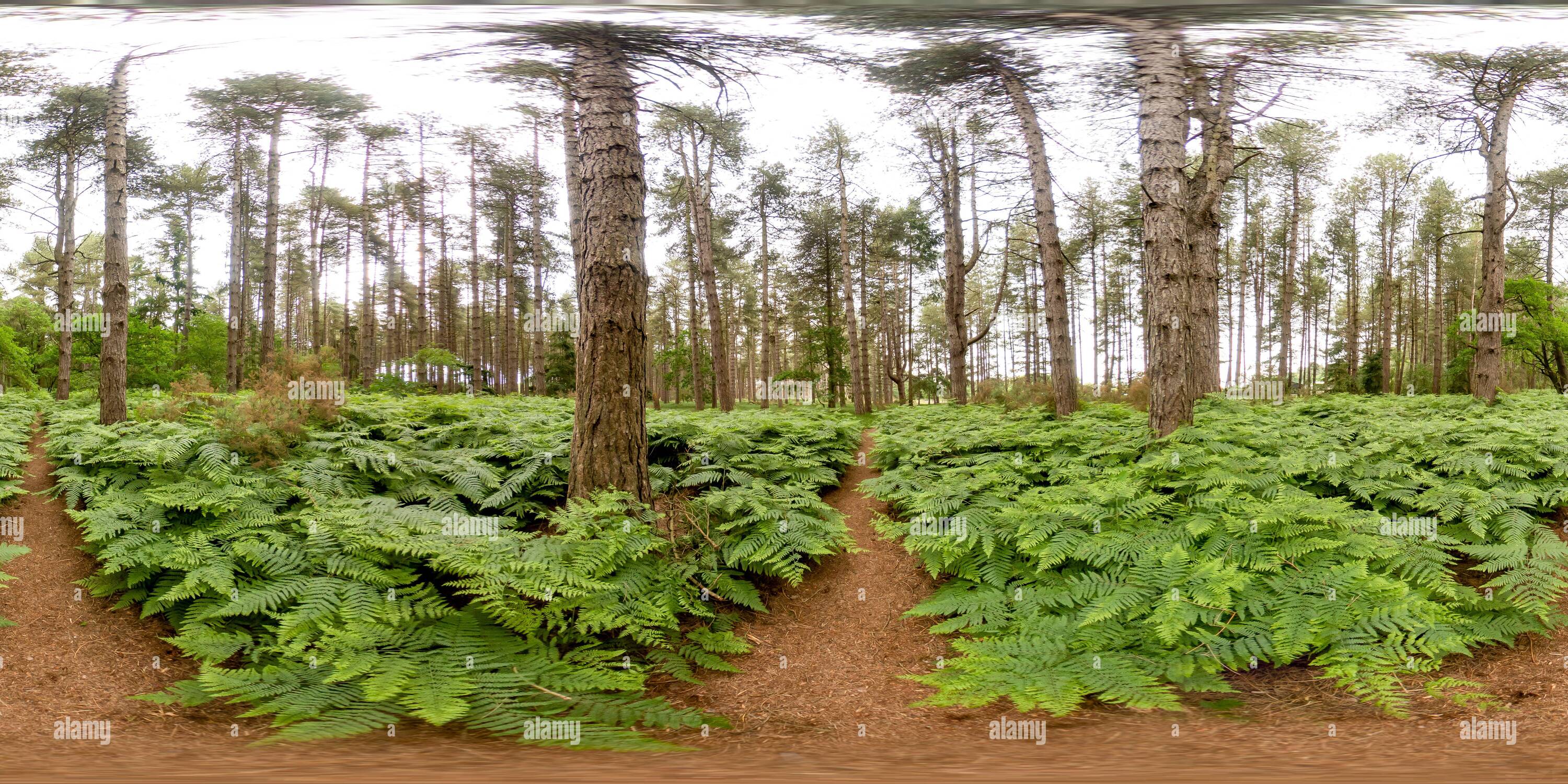 360° view of Full spherical seamless panorama 360 degree angle view ...