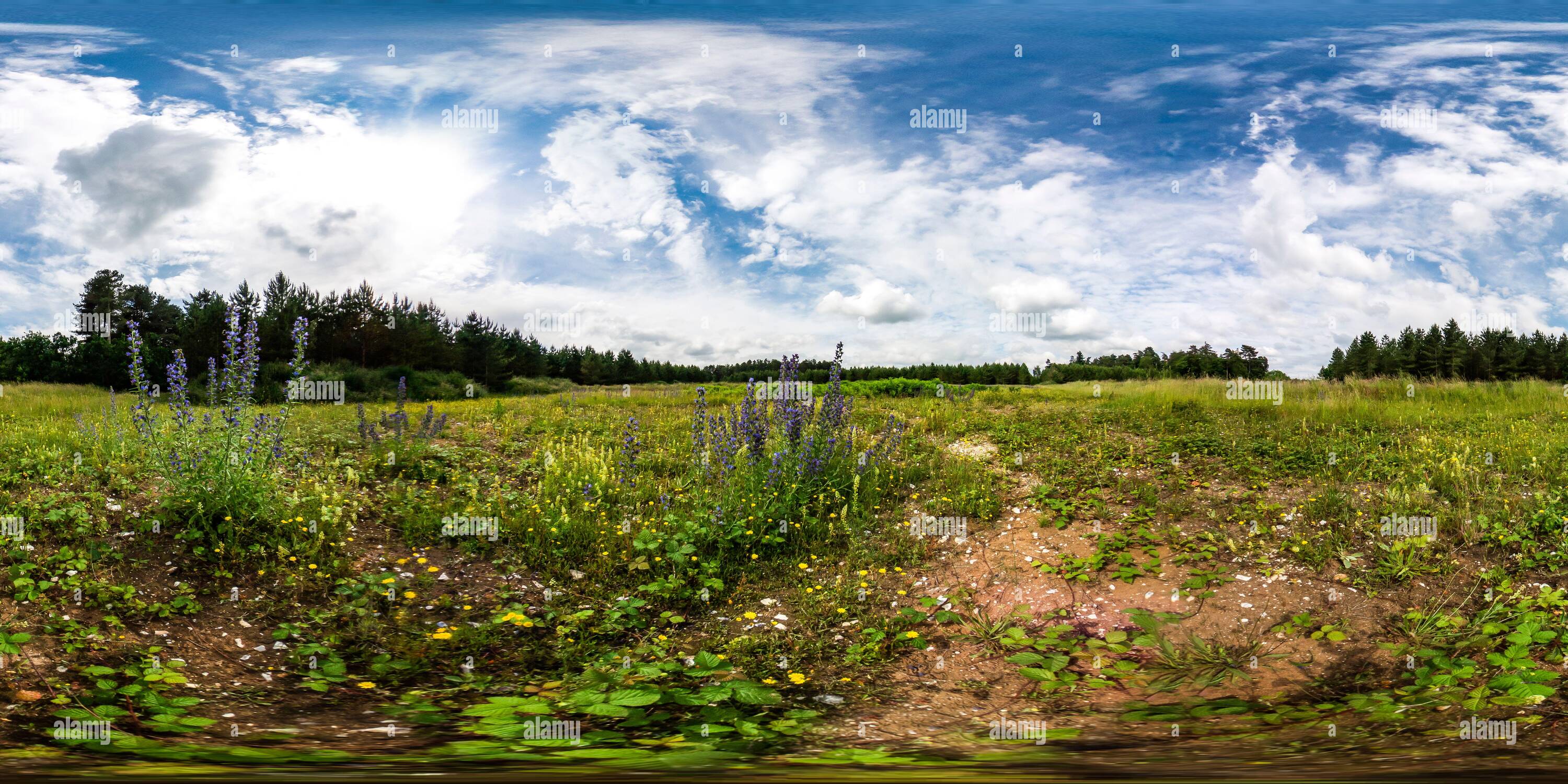 360° view of Full spherical seamless panorama 360 degree angle view ...