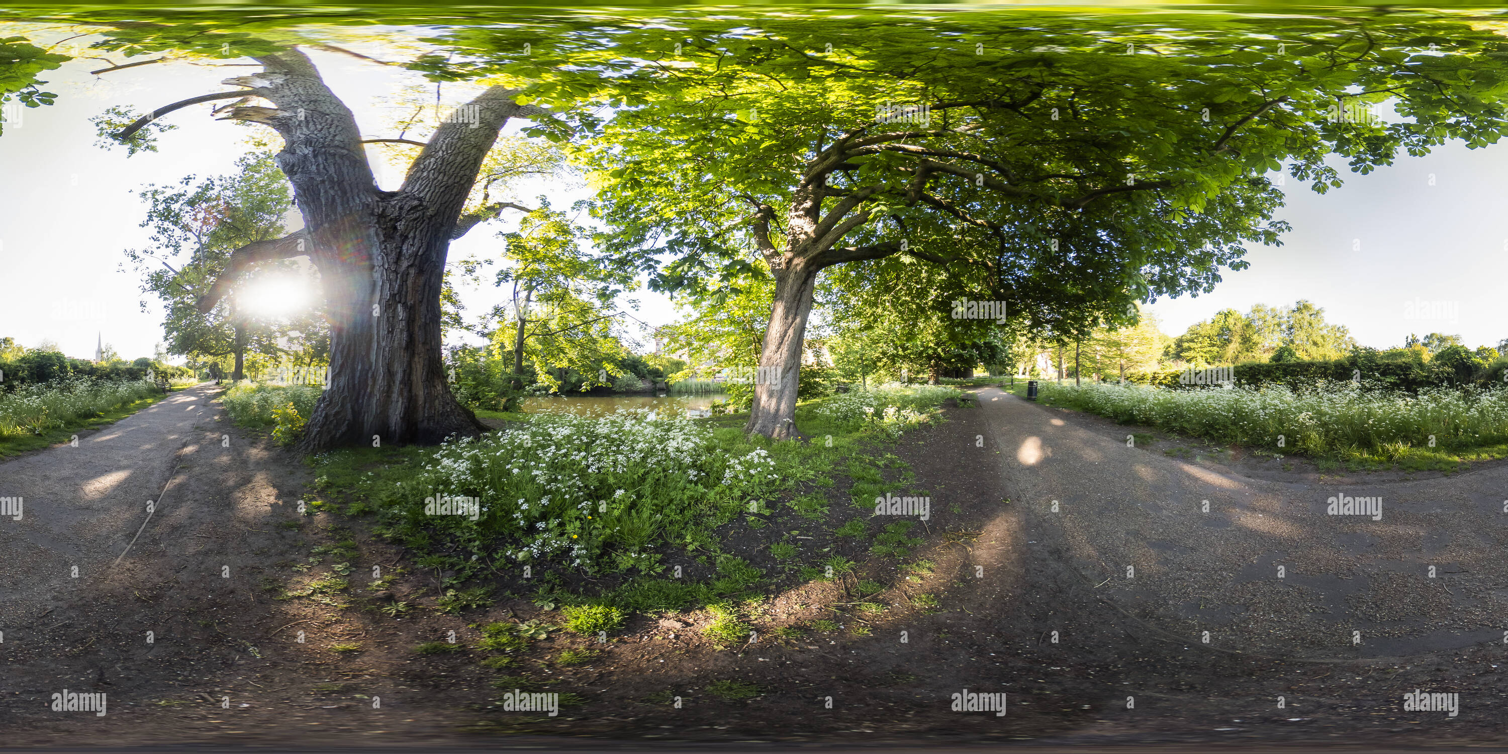 Wensum park hi-res stock photography and images - Alamy