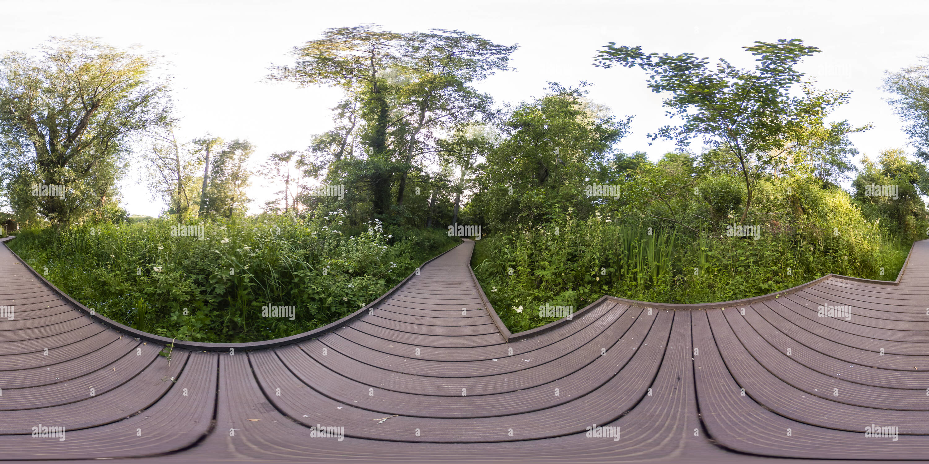 360° view of Riverside boardwalk in Wroxham, Norfolk - Alamy