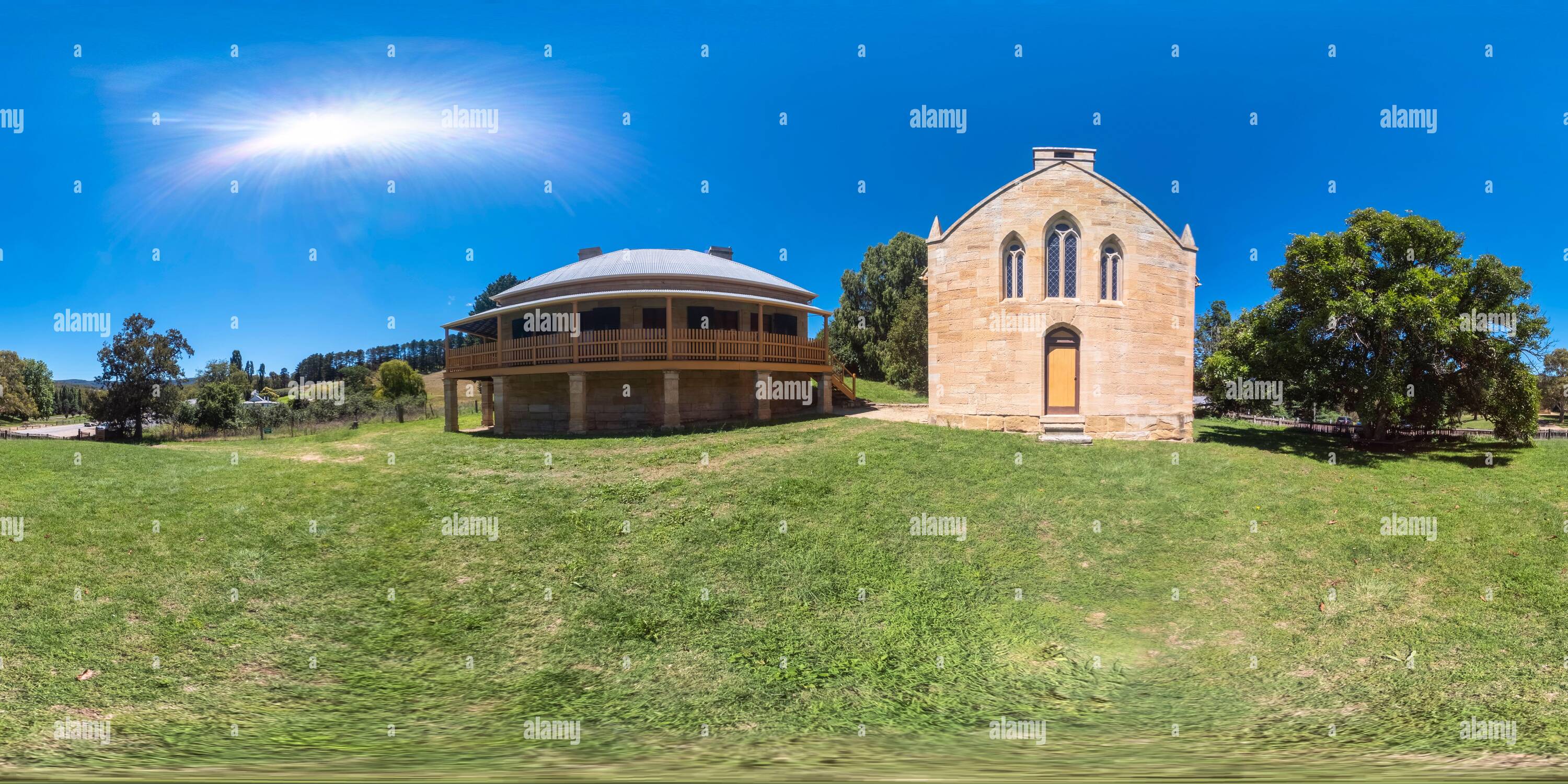 360° view of Spherical 360 panorama photograph of Saint Bernards ...
