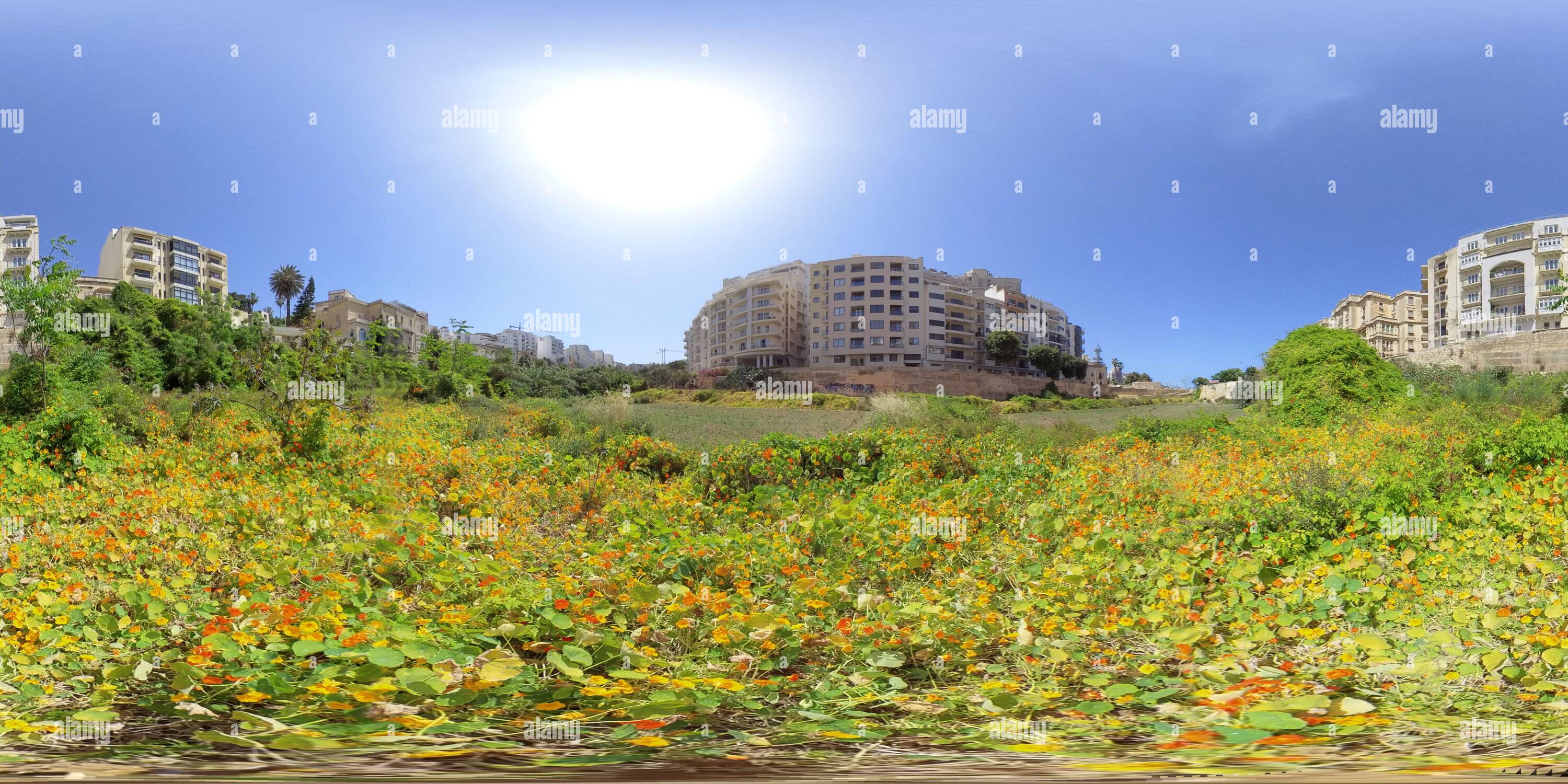 360 jungle hi-res stock photography and images - Alamy