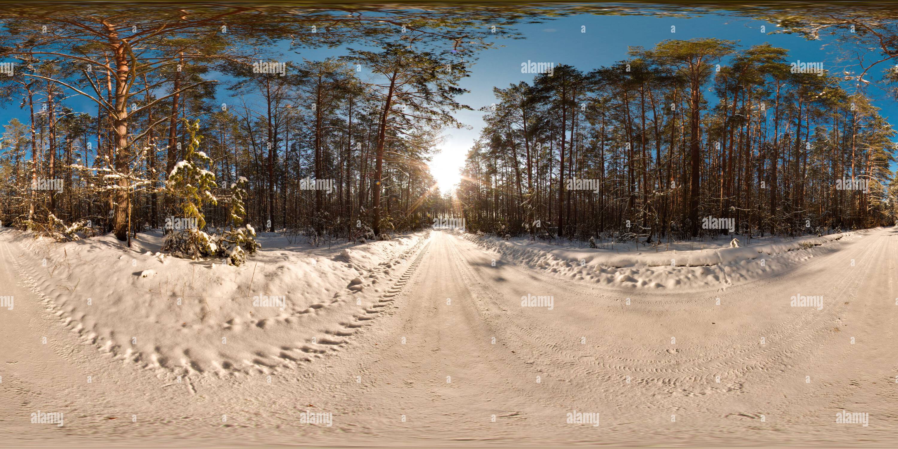 360° view of Beautiful landscape with trees blue road sky sun snow at ...
