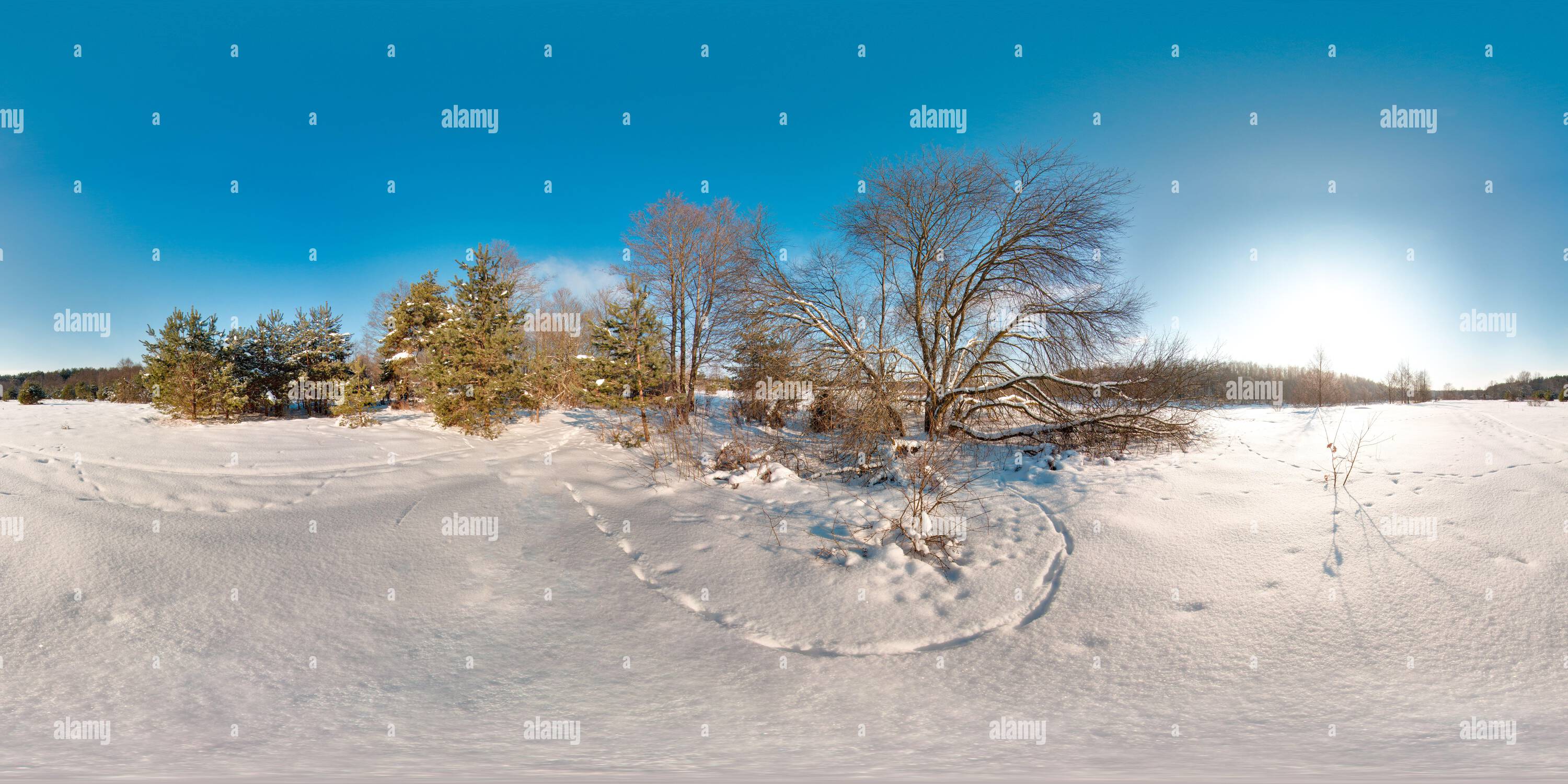 360° view of Beautiful landscape with trees blue sky sun snow at winter ...