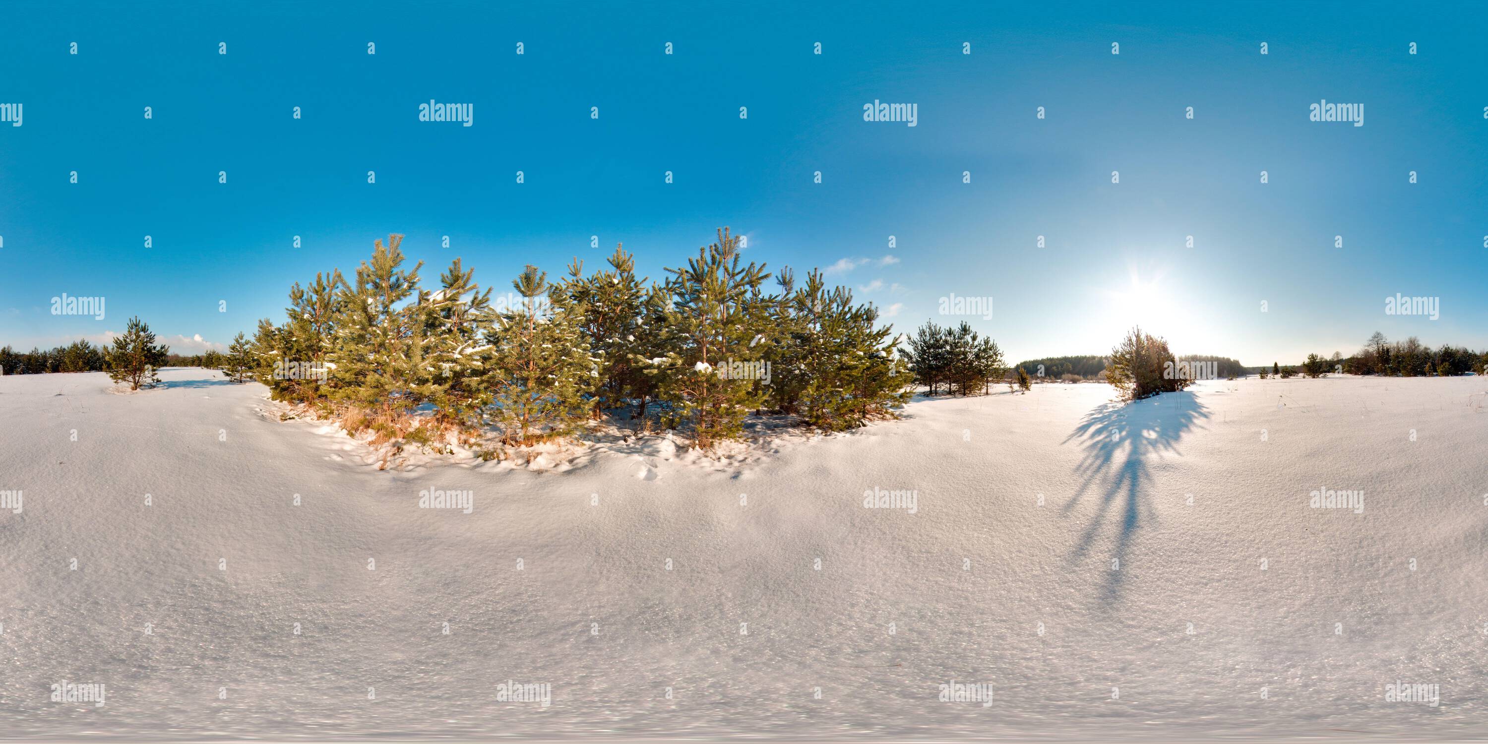 360° view of Beautiful landscape with trees blue sky sun snow at winter ...