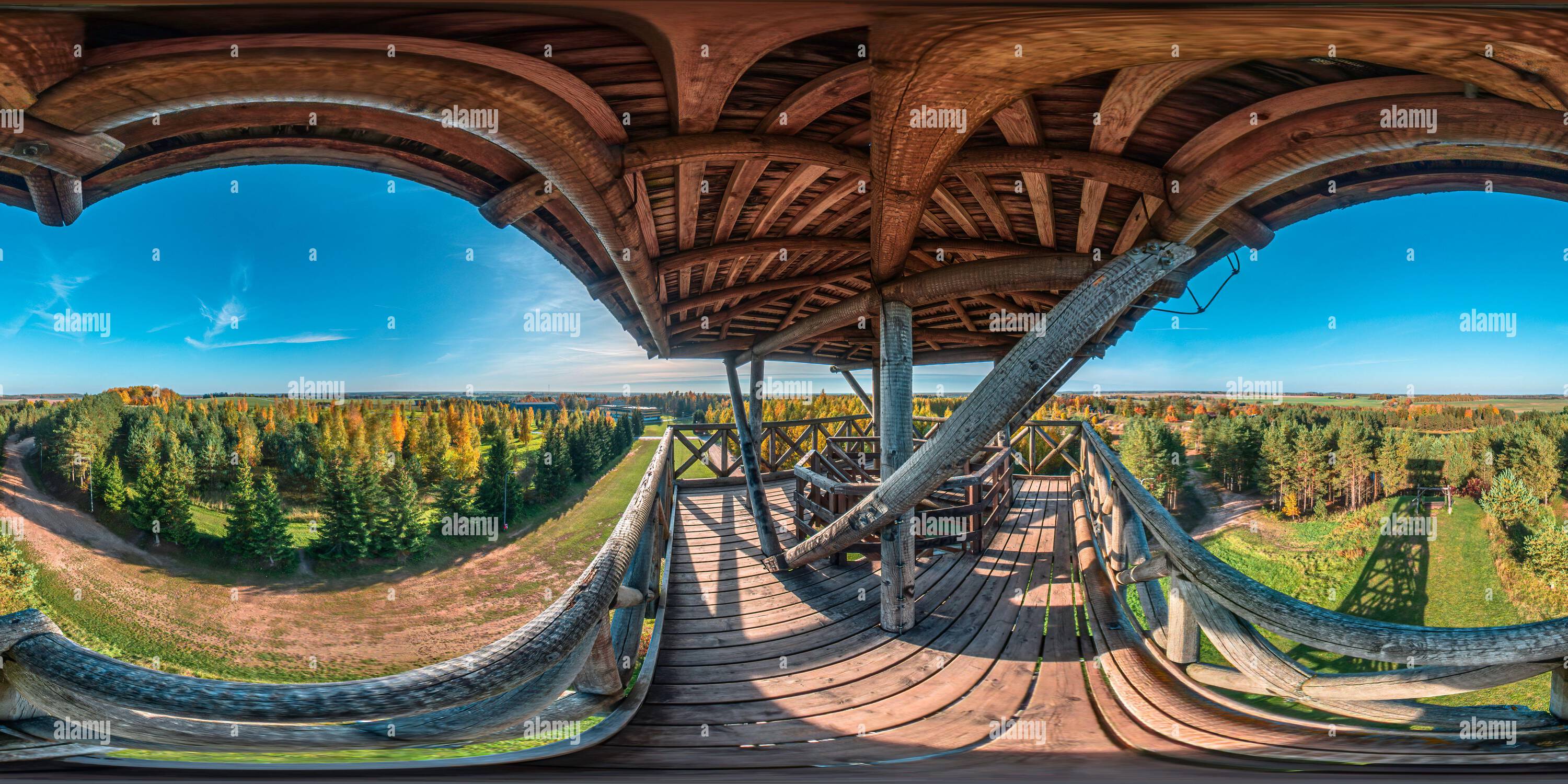 360° view of Beautiful autumn forest view from an observation tower in ...