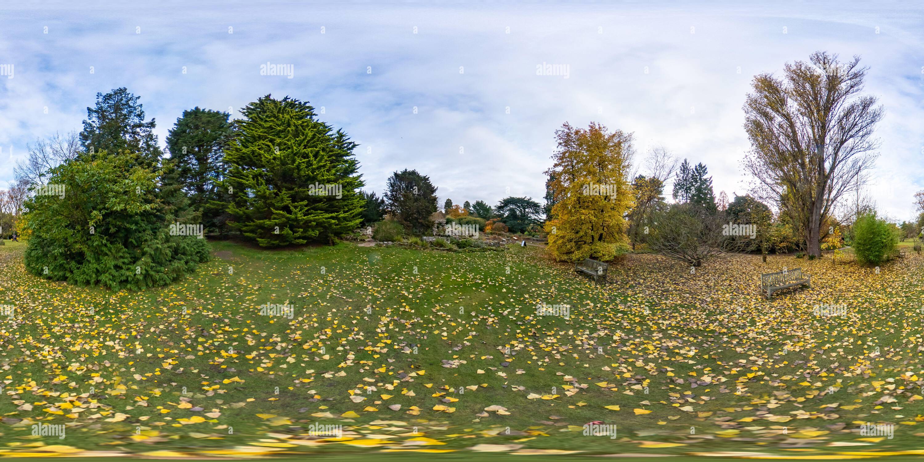 360° view of Full 360 spherical panorama captured at the Cambridge ...