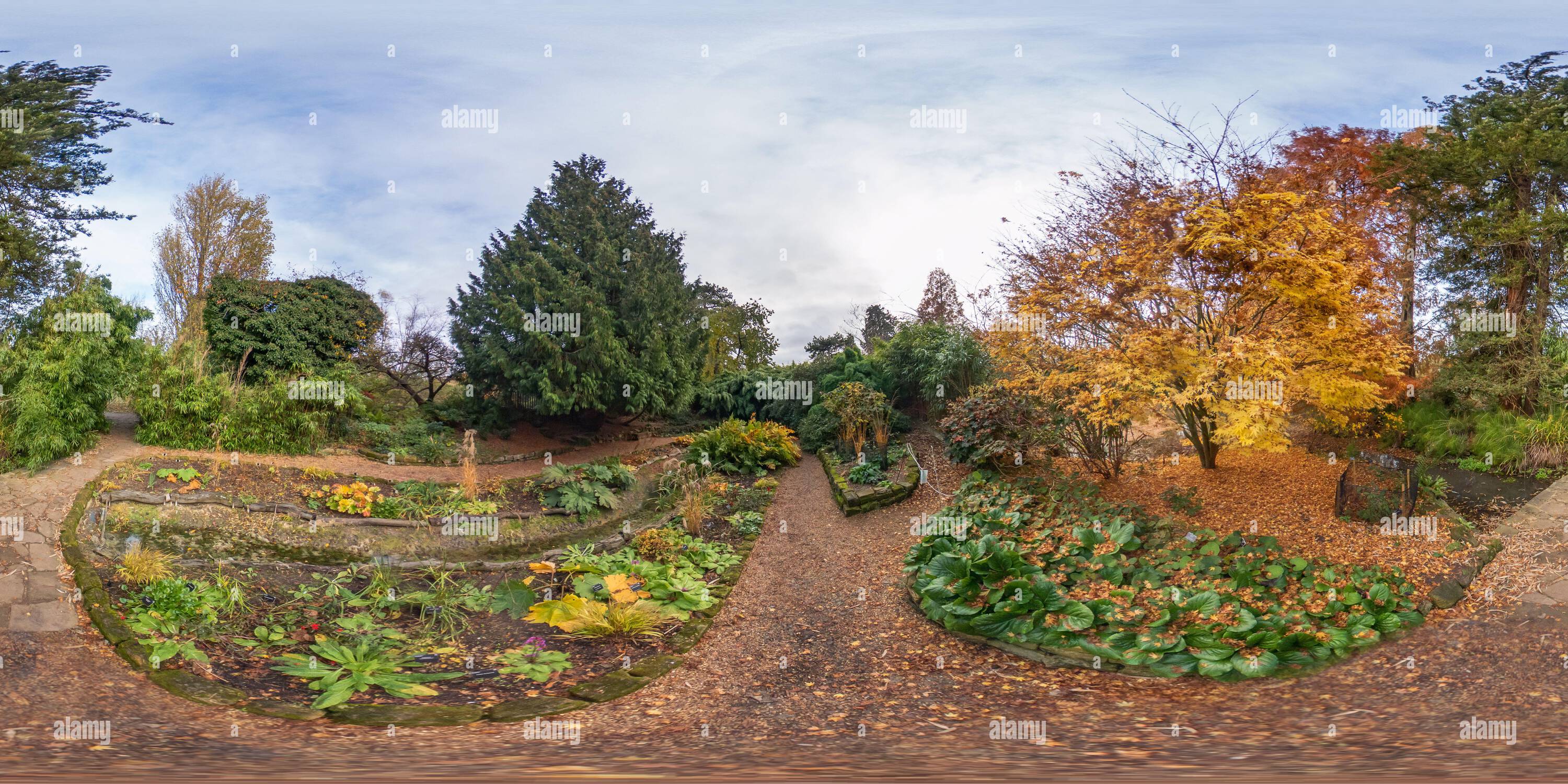 360° view of 360 degree image captured at Cambridge Botanical Gardens ...