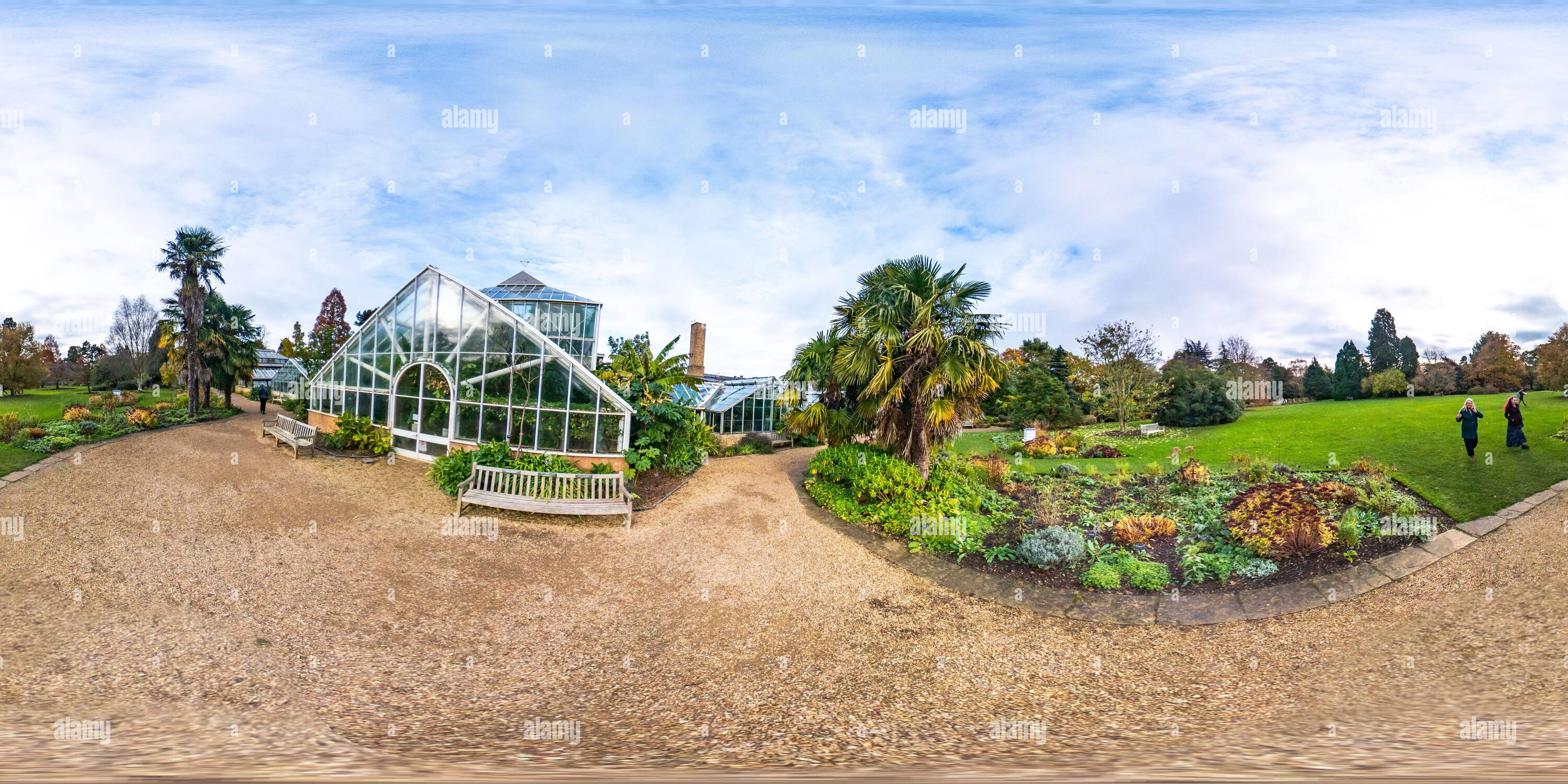360° view of 360 degree view of the glasshouses, growing houses and ...