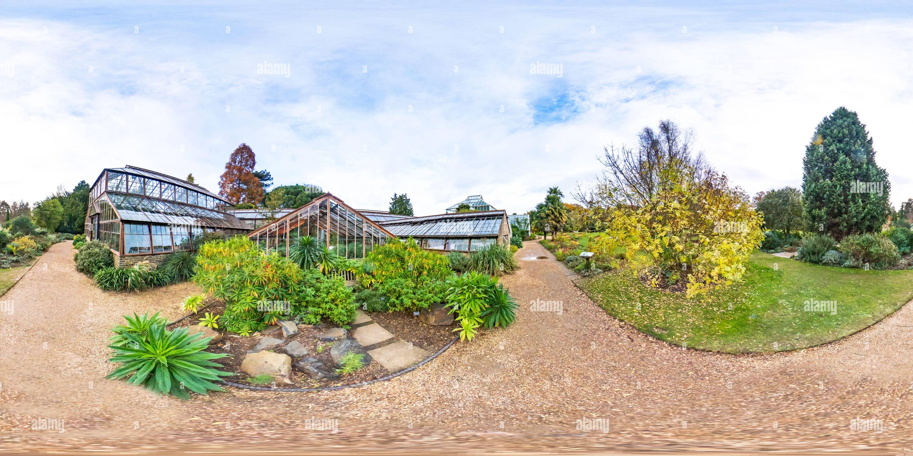 360° view of 360 degree view of the glasshouses, growing houses and ...