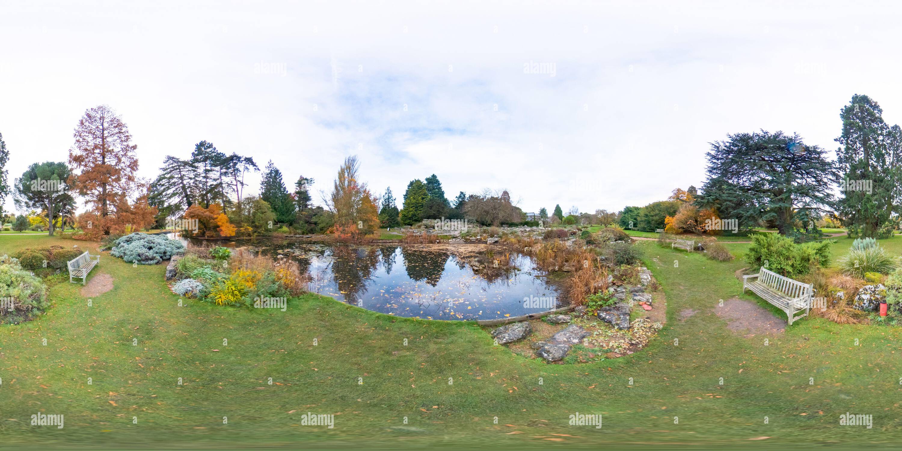 360° view of The lake and rock garden in the Cambridge Botanical ...