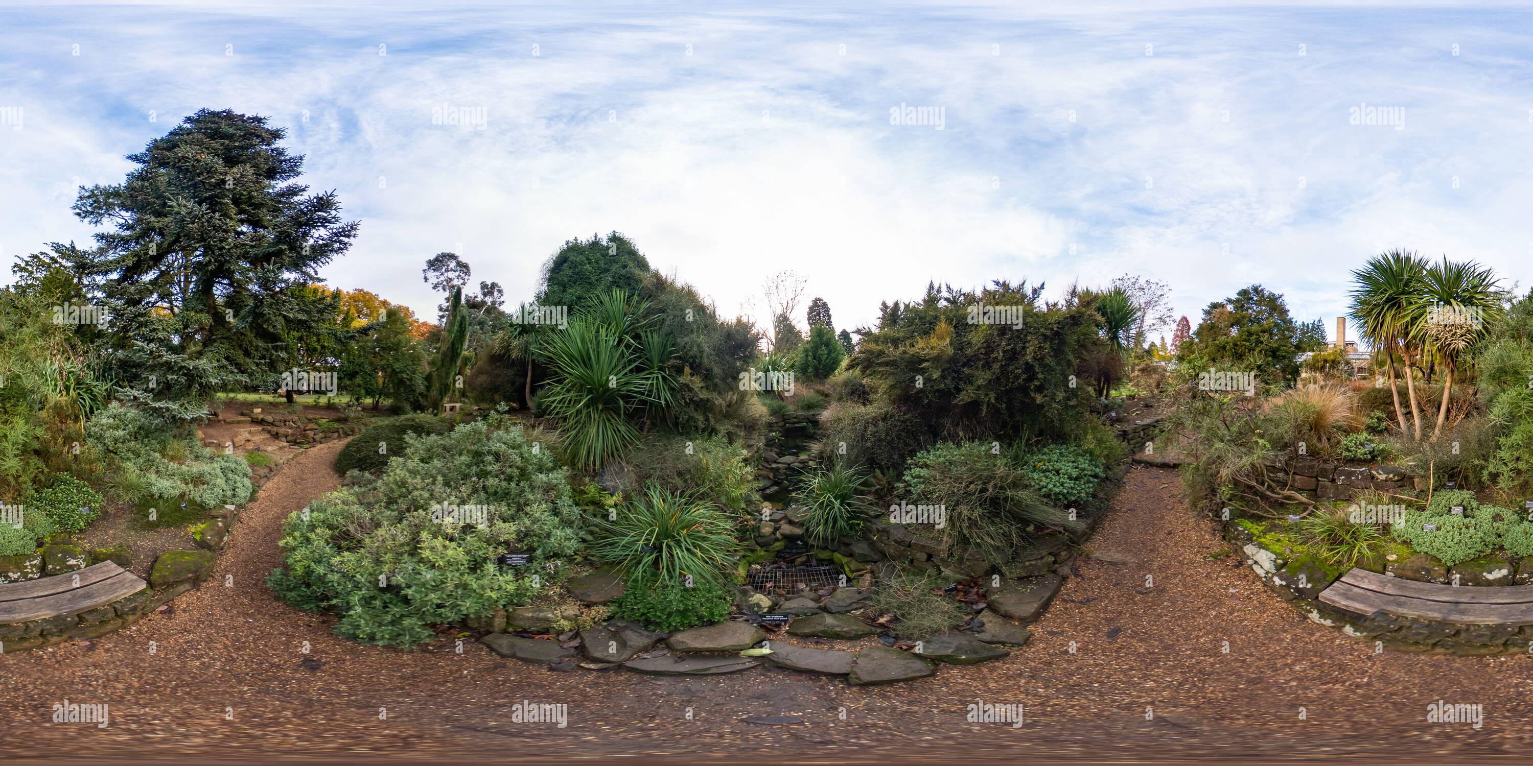 360° view of 360 degree view captured in the Cambridge Botanical ...