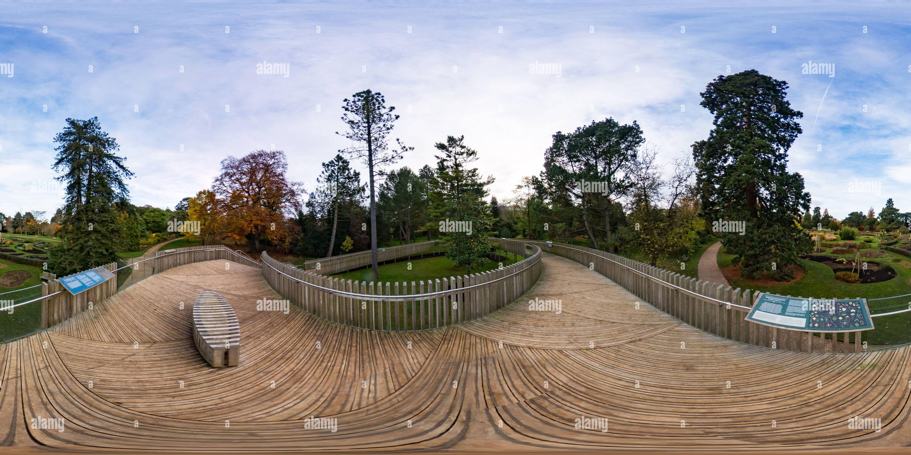 360° view of 360 degree view captured in the Cambridge Botanical ...
