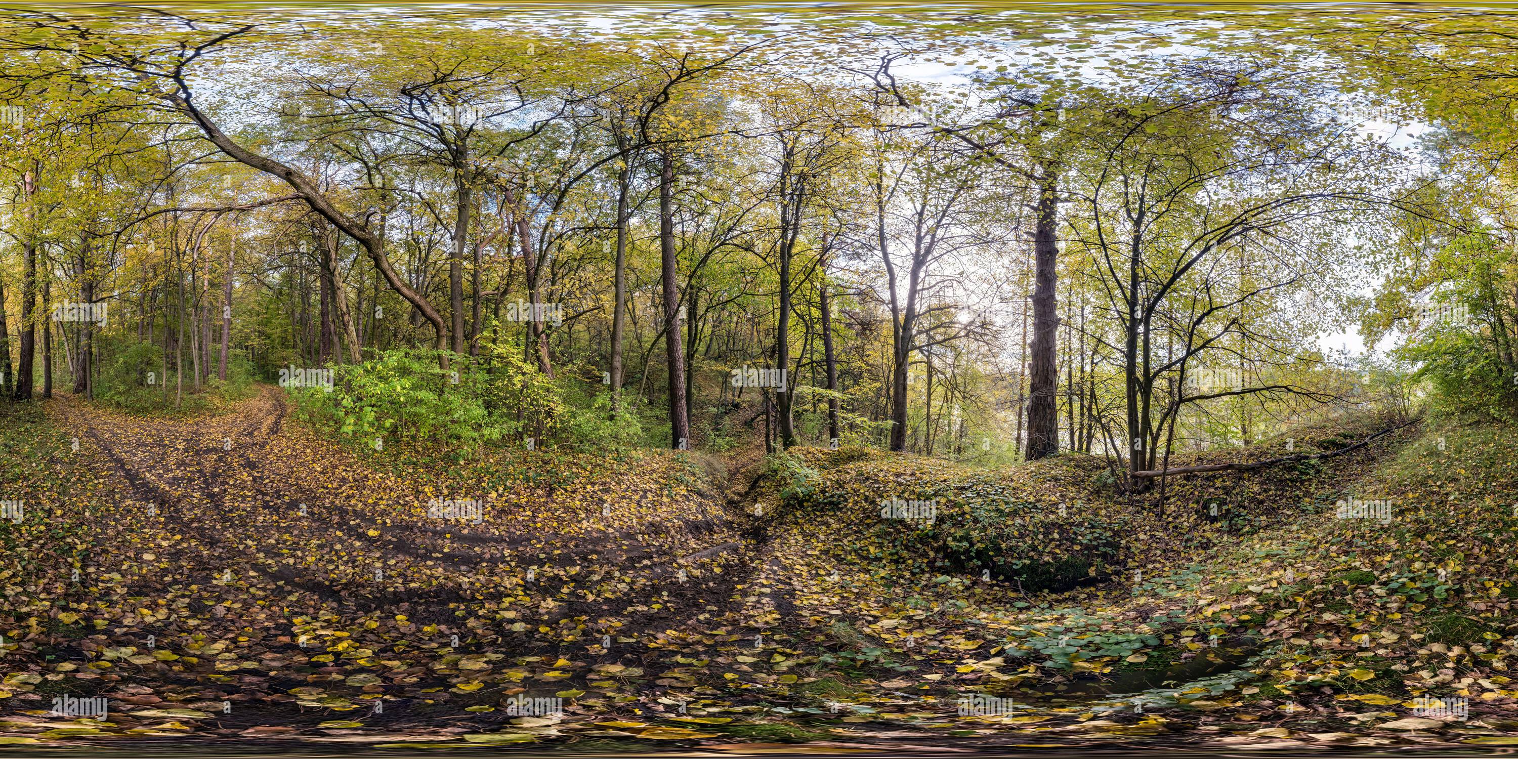 360° view of full seamless spherical hdri 360 panorama on mountain near ...