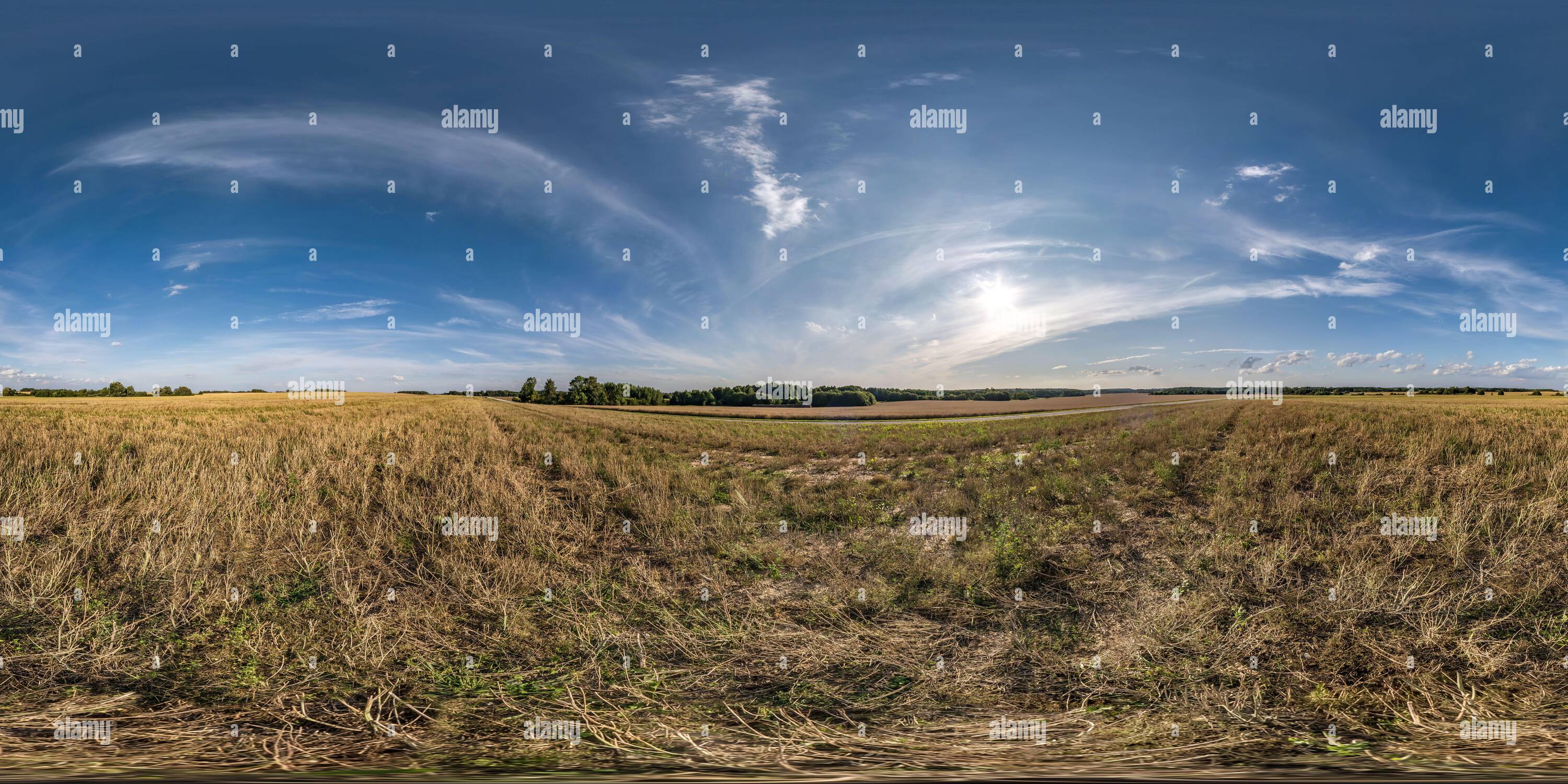 360° view of full seamless spherical hdri panorama 360 among autumn ...