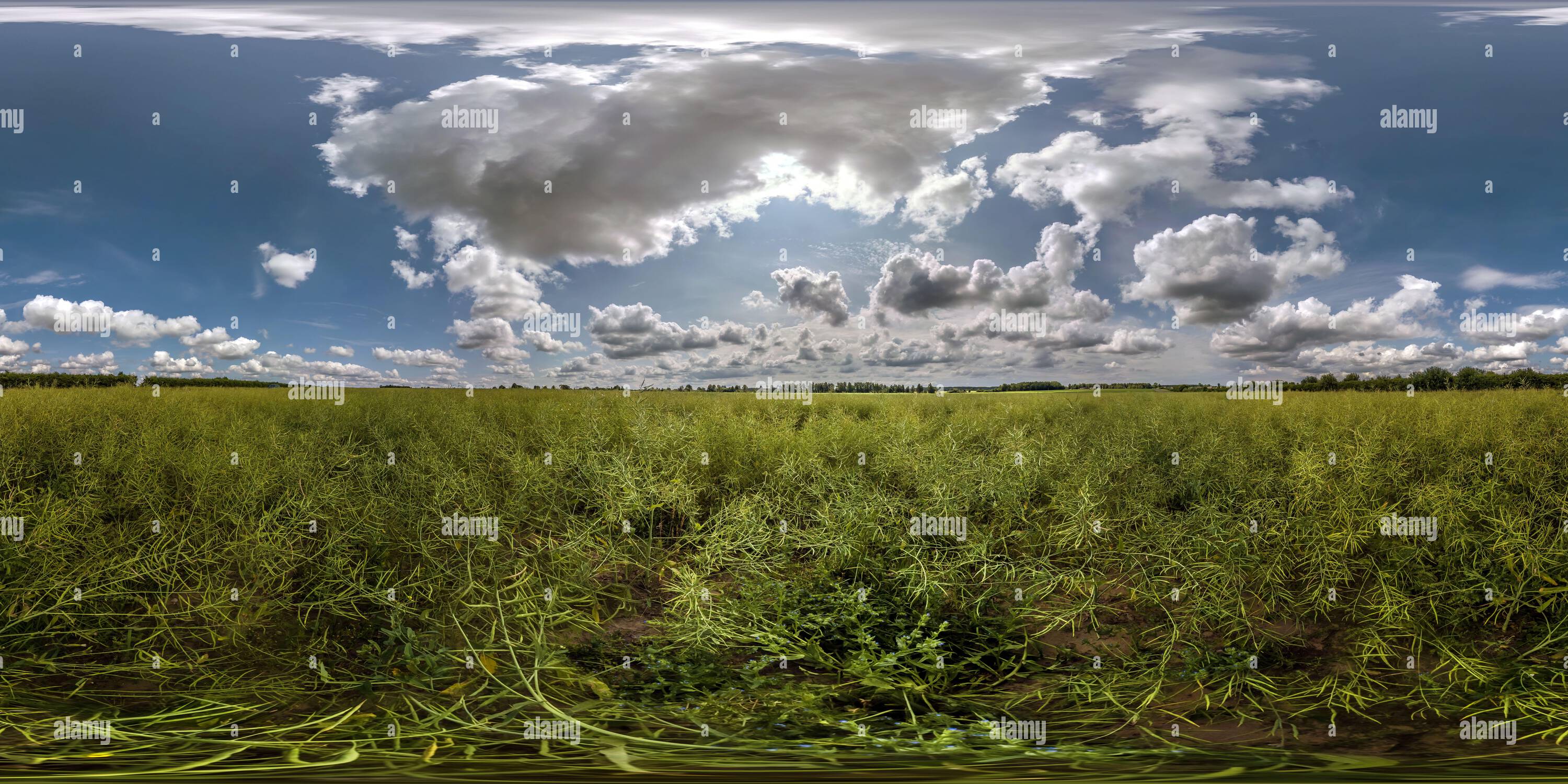 360° view of full seamless spherical hdri panorama 360 degrees angle ...