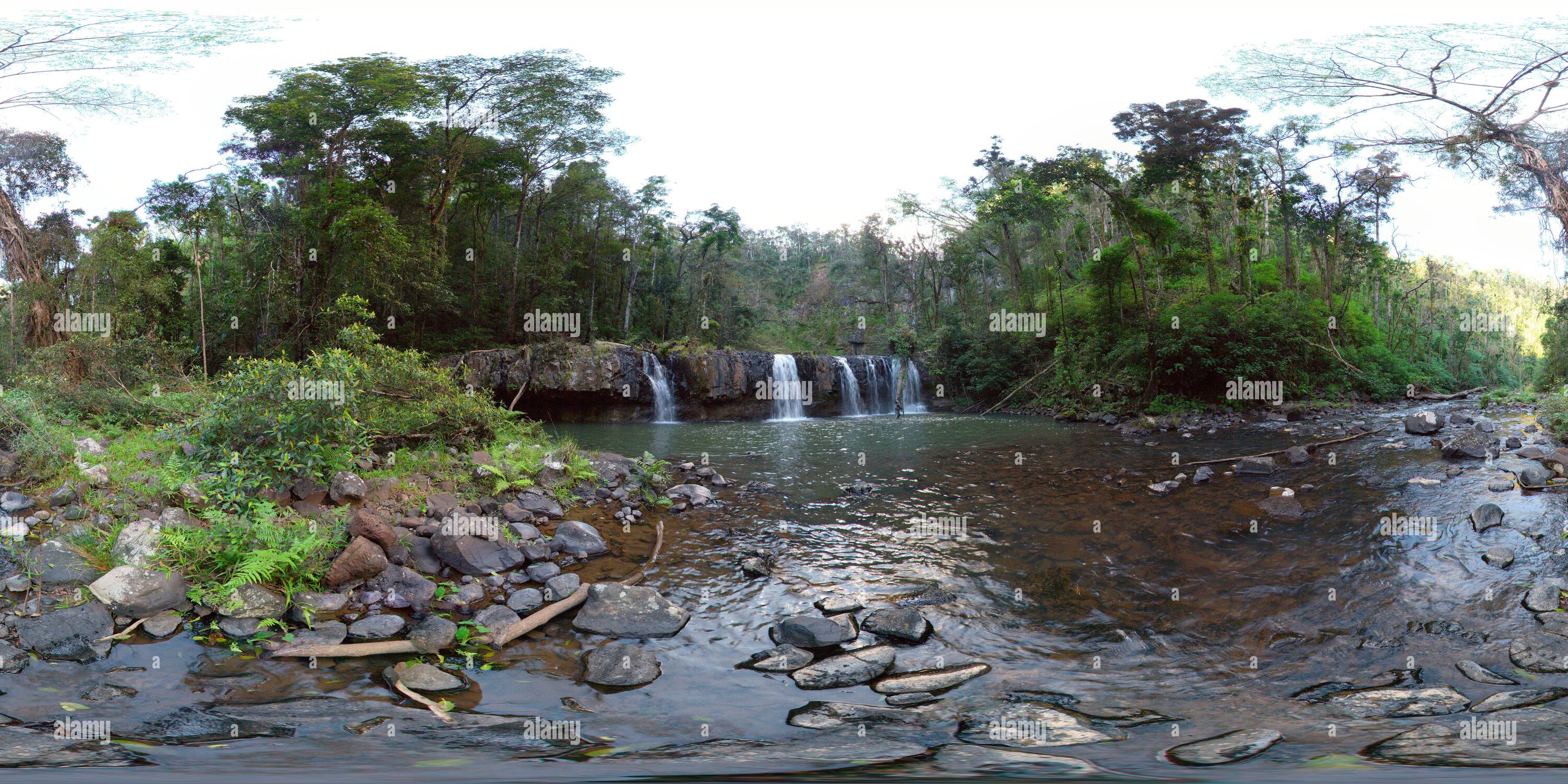 360° view of 360 Panoramic view of Nandroya Falls Wooroonooran National ...