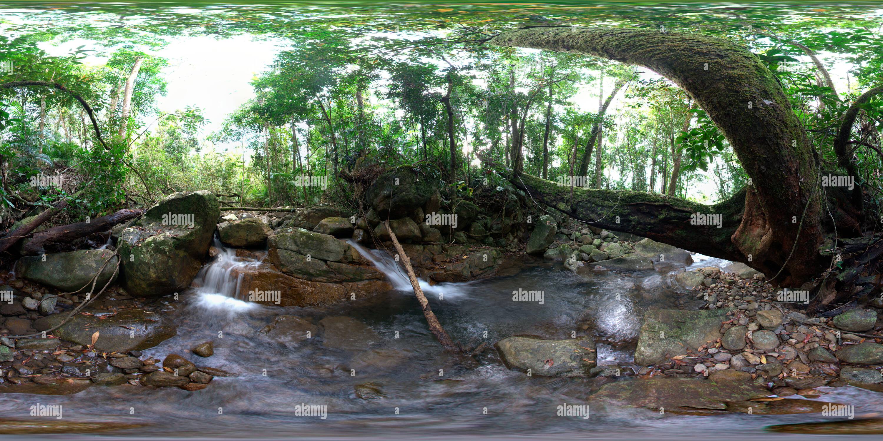 Tully qld 4854 hi-res stock photography and images - Alamy