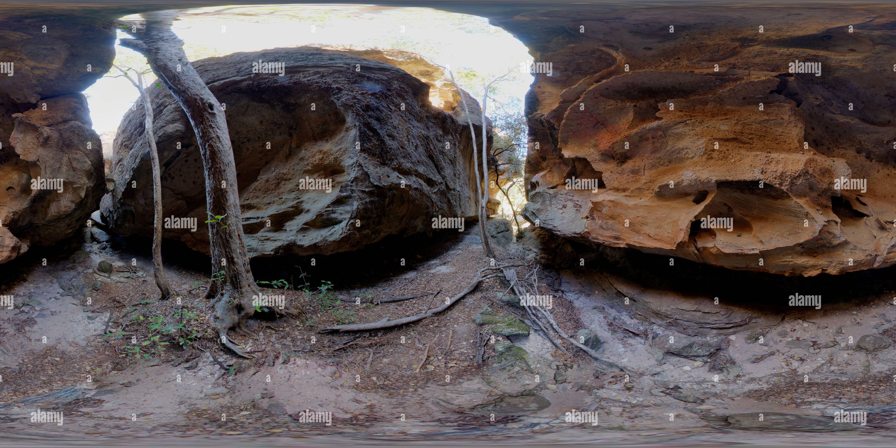 360° view of Panoramic view of a rocky cave with tree roots and ...