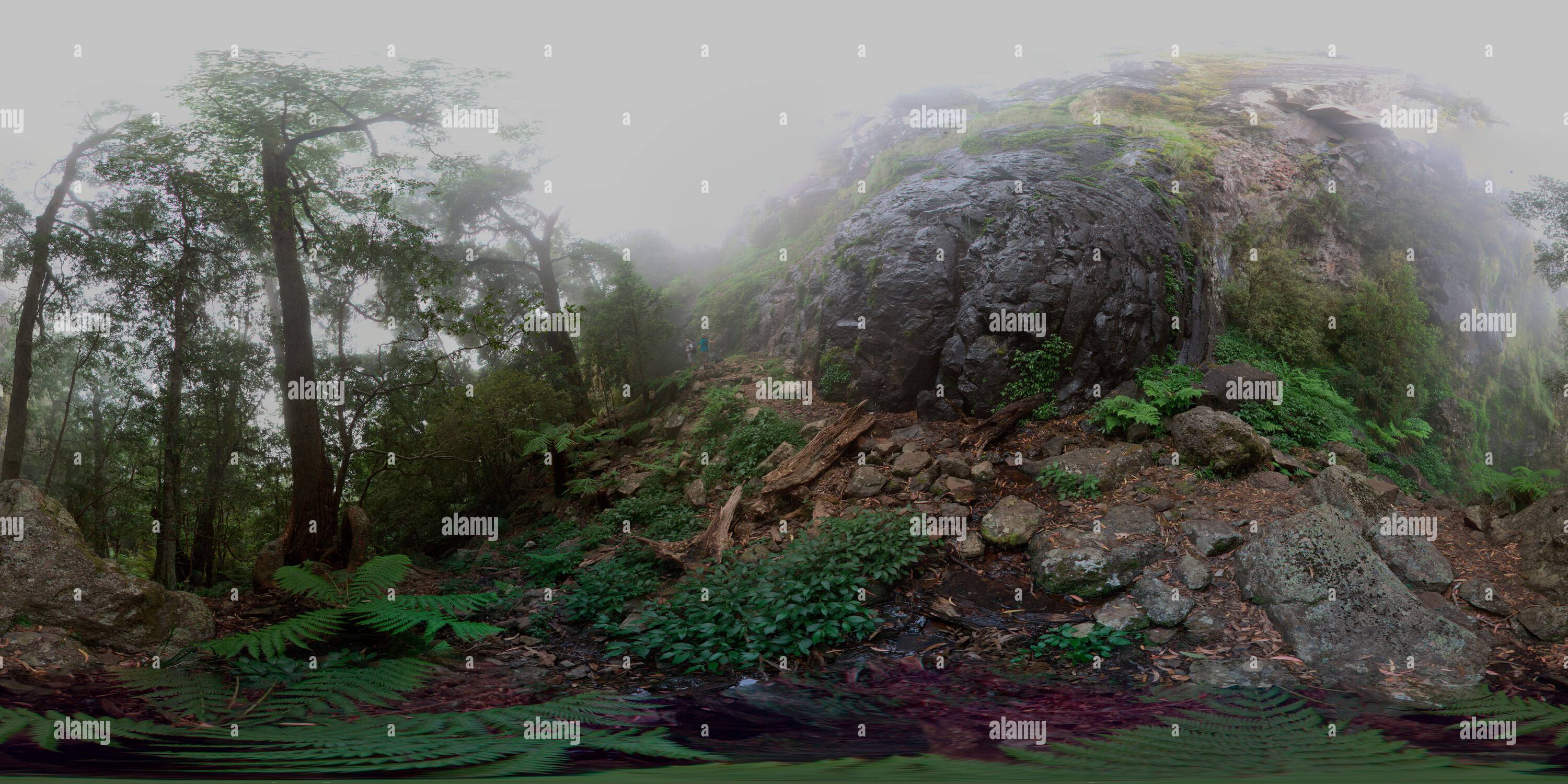 Weeping rock walking track hi-res stock photography and images - Alamy