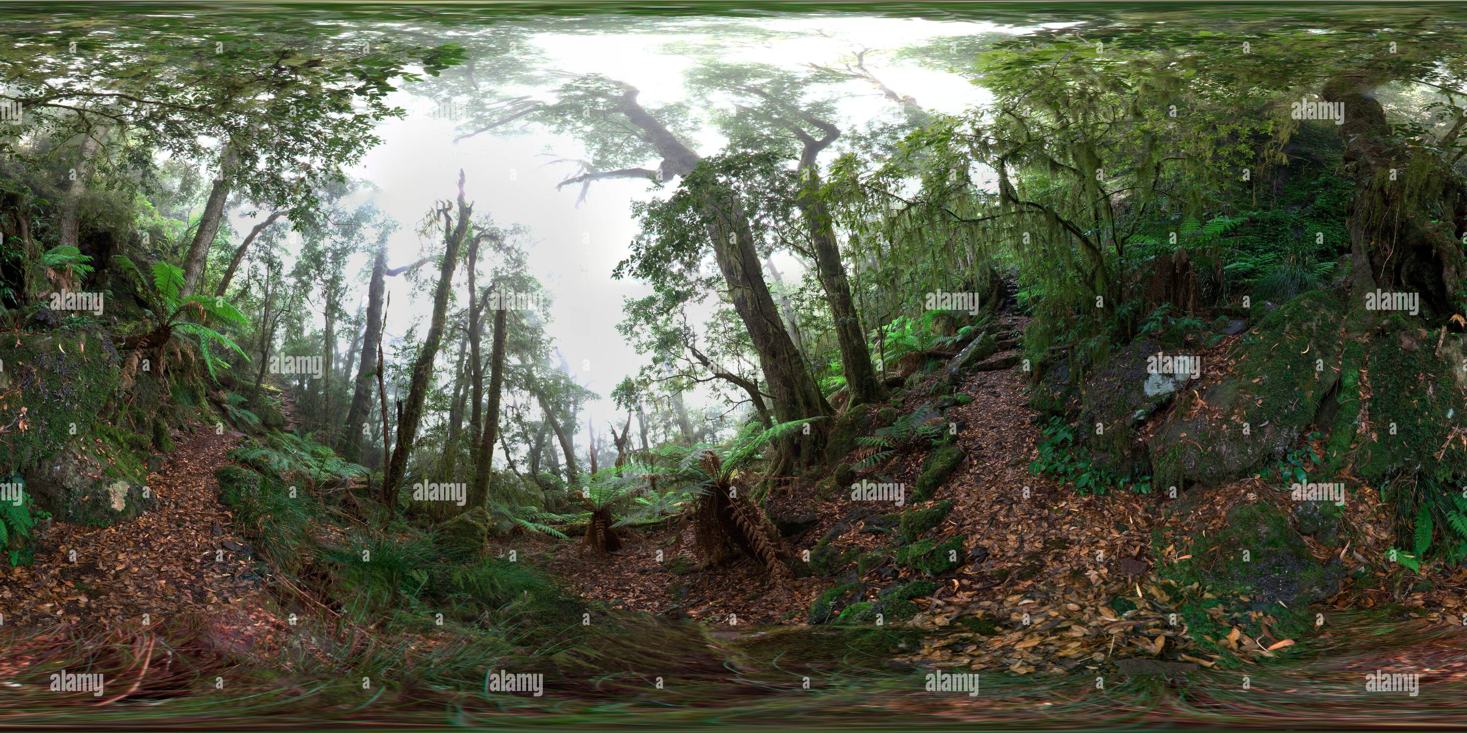 360° view of Panorama of the Weeping Rock walking track in New England ...