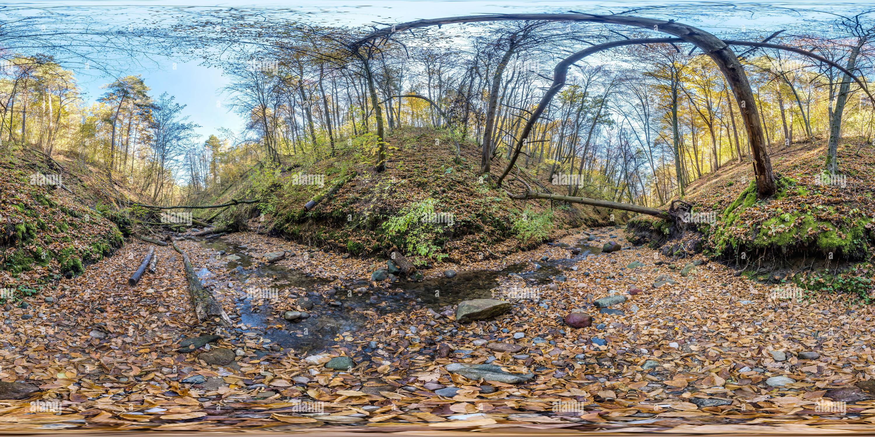 360° view of full seamless hdri 360 panorama near mountain stream in ...