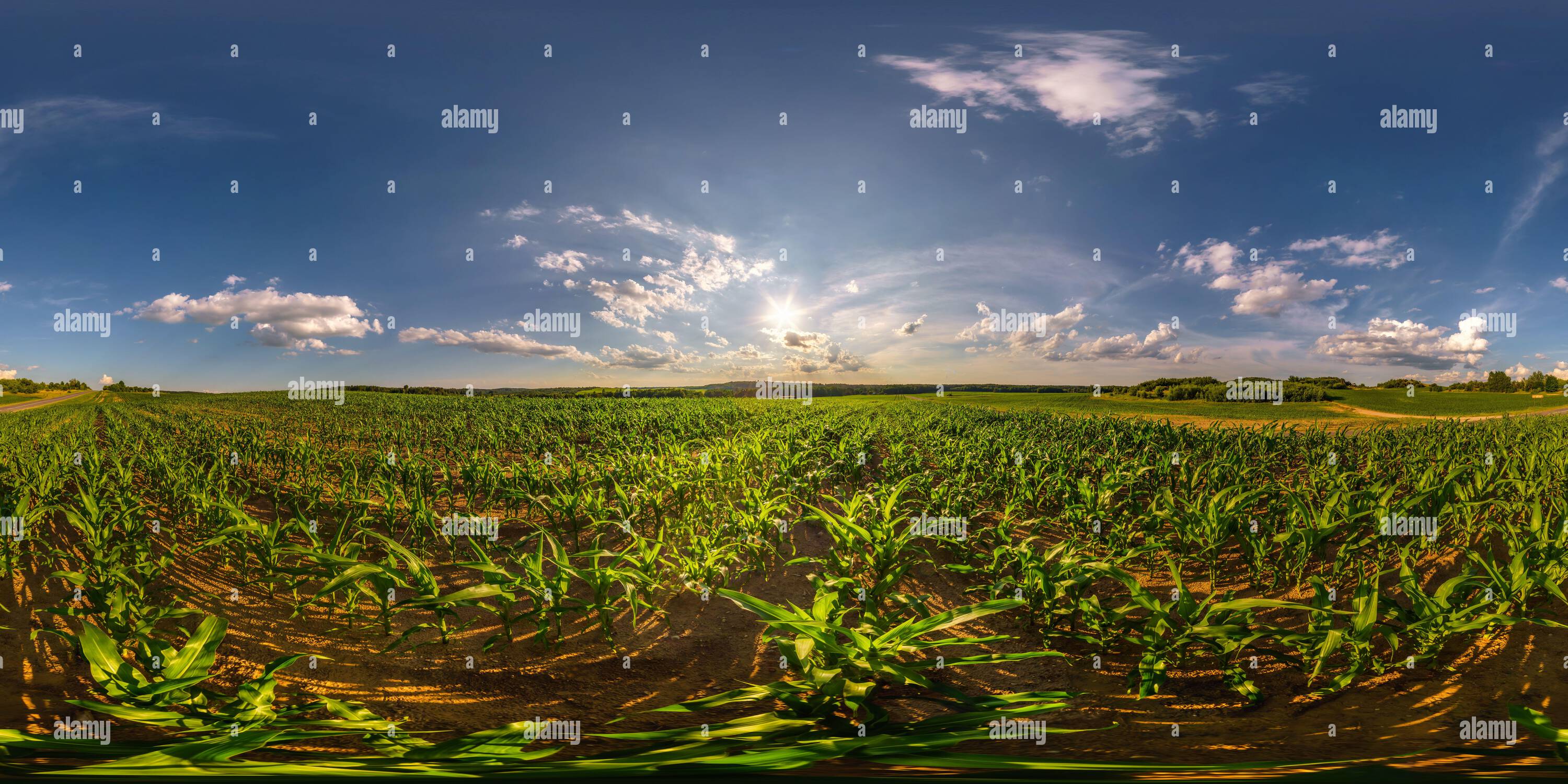 360° view of full seamless spherical hdri 360 panorama view among young ...