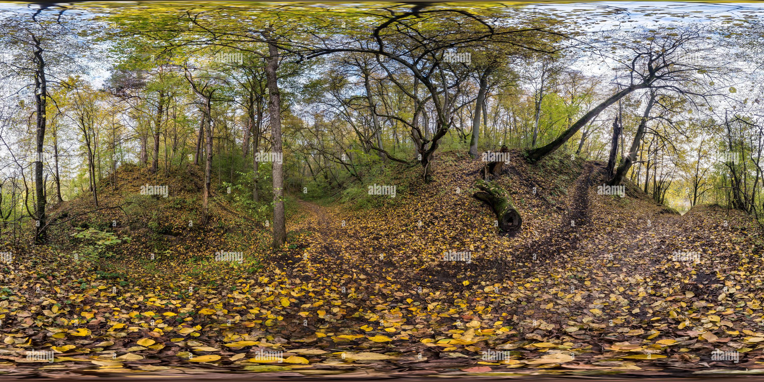 360° view of full seamless spherical hdri 360 panorama in tree-covered ...