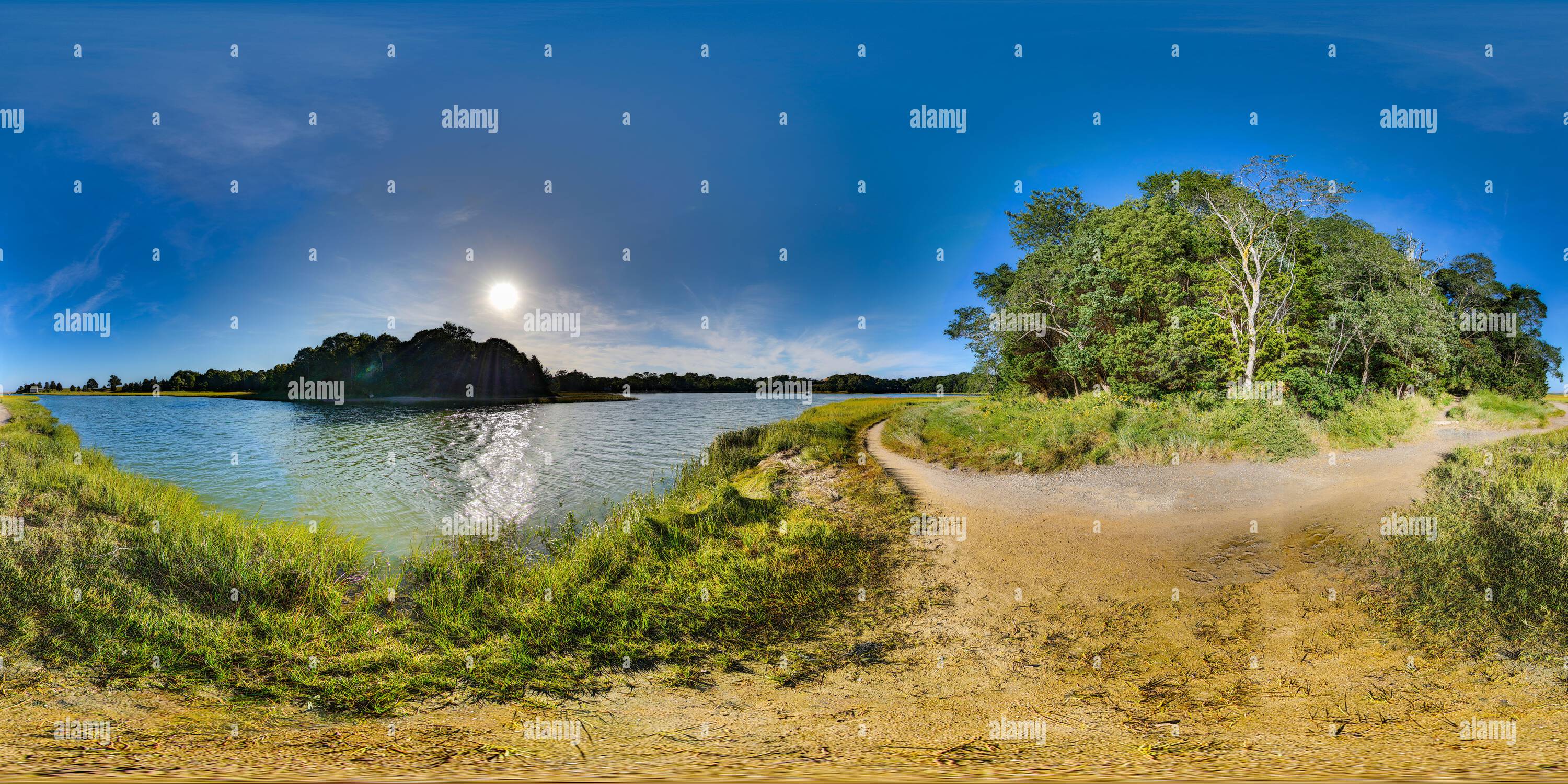 360° view of A 360 VR of the Nauset Trail Cape Cod - Alamy