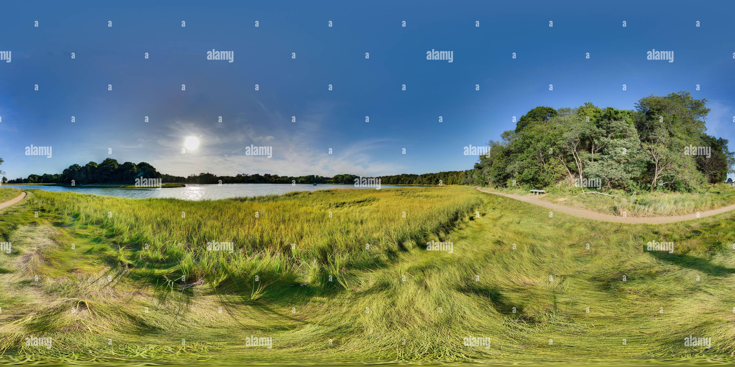 360° view of A 360 VR of the Nauset Trail Cape Cod - Alamy
