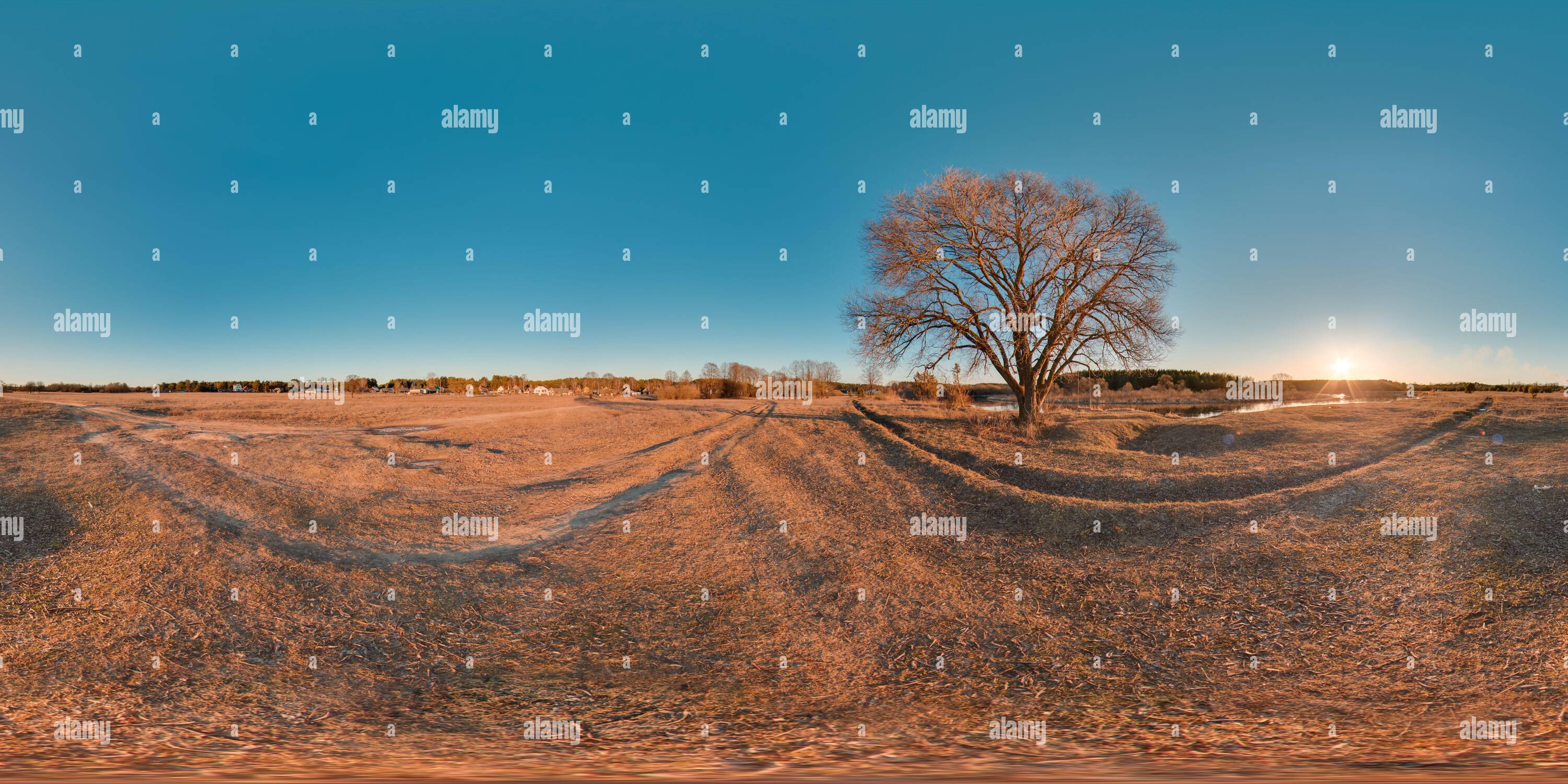 360° view of Beautiful landscape with blue sky sunset at spring trees ...