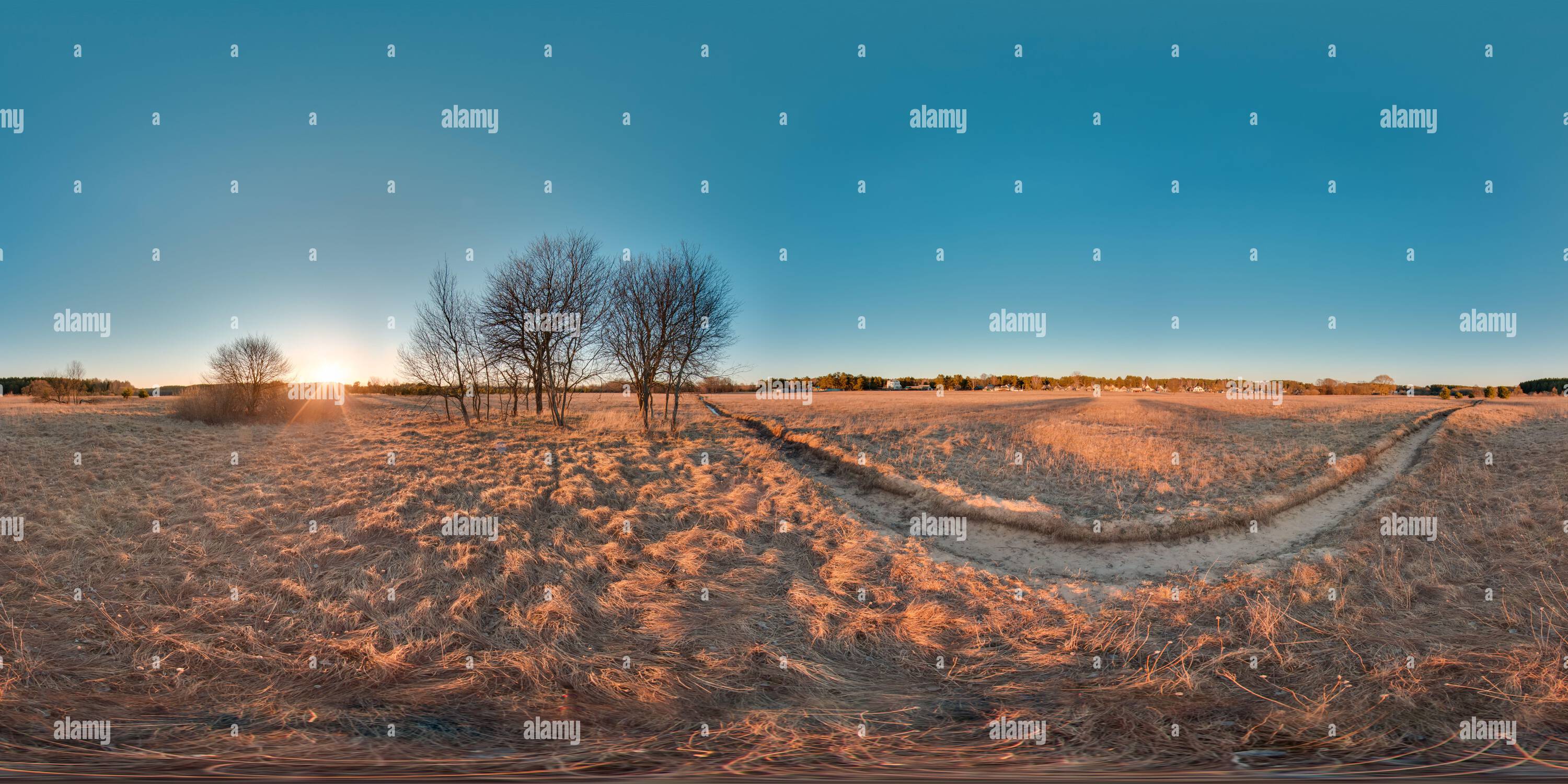 360° view of Beautiful landscape with blue sky sunset at spring trees ...