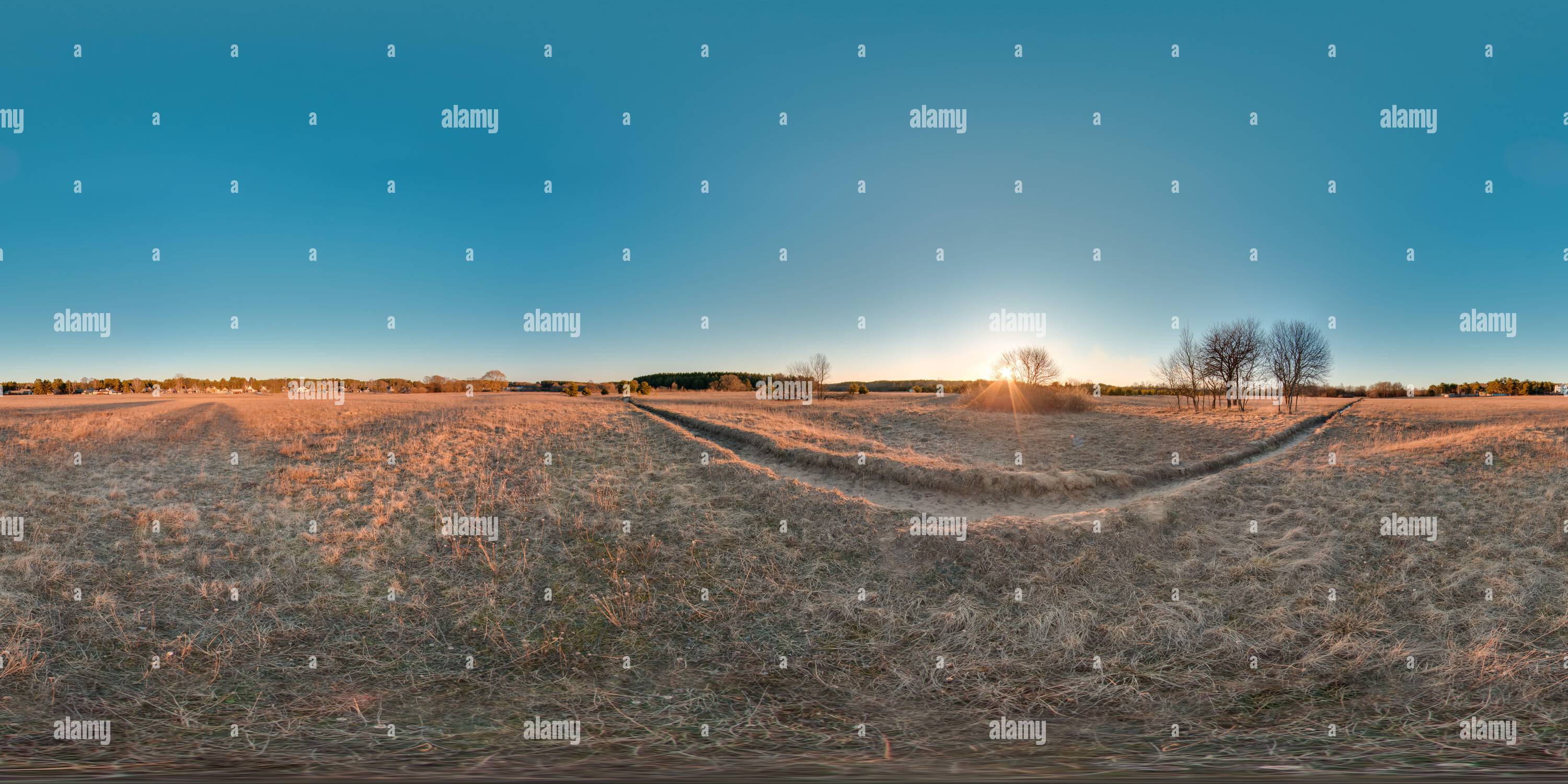 360° view of Beautiful landscape with blue sky sunset at spring trees ...