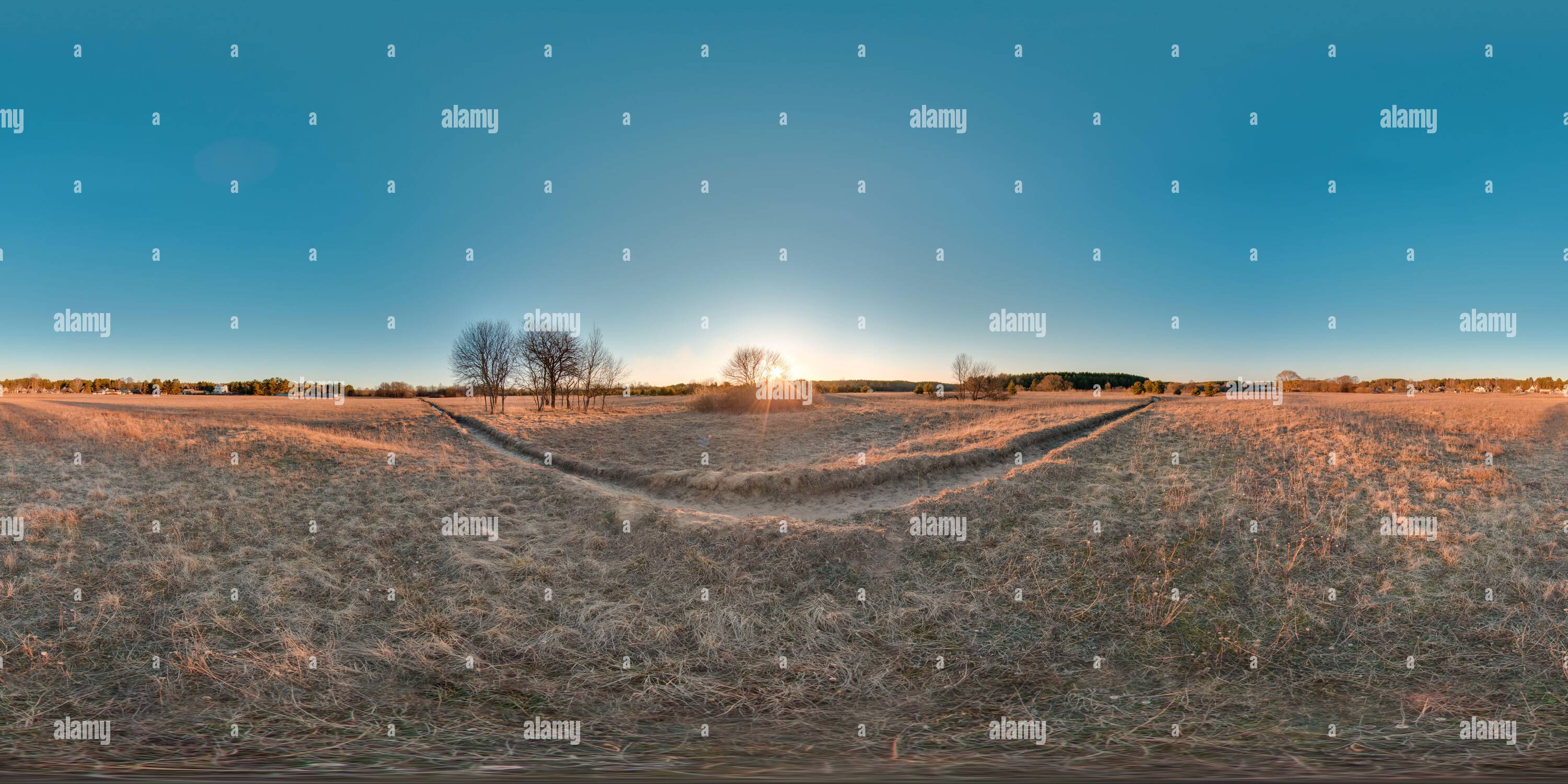 360° view of Beautiful landscape with blue sky sunset at spring trees ...