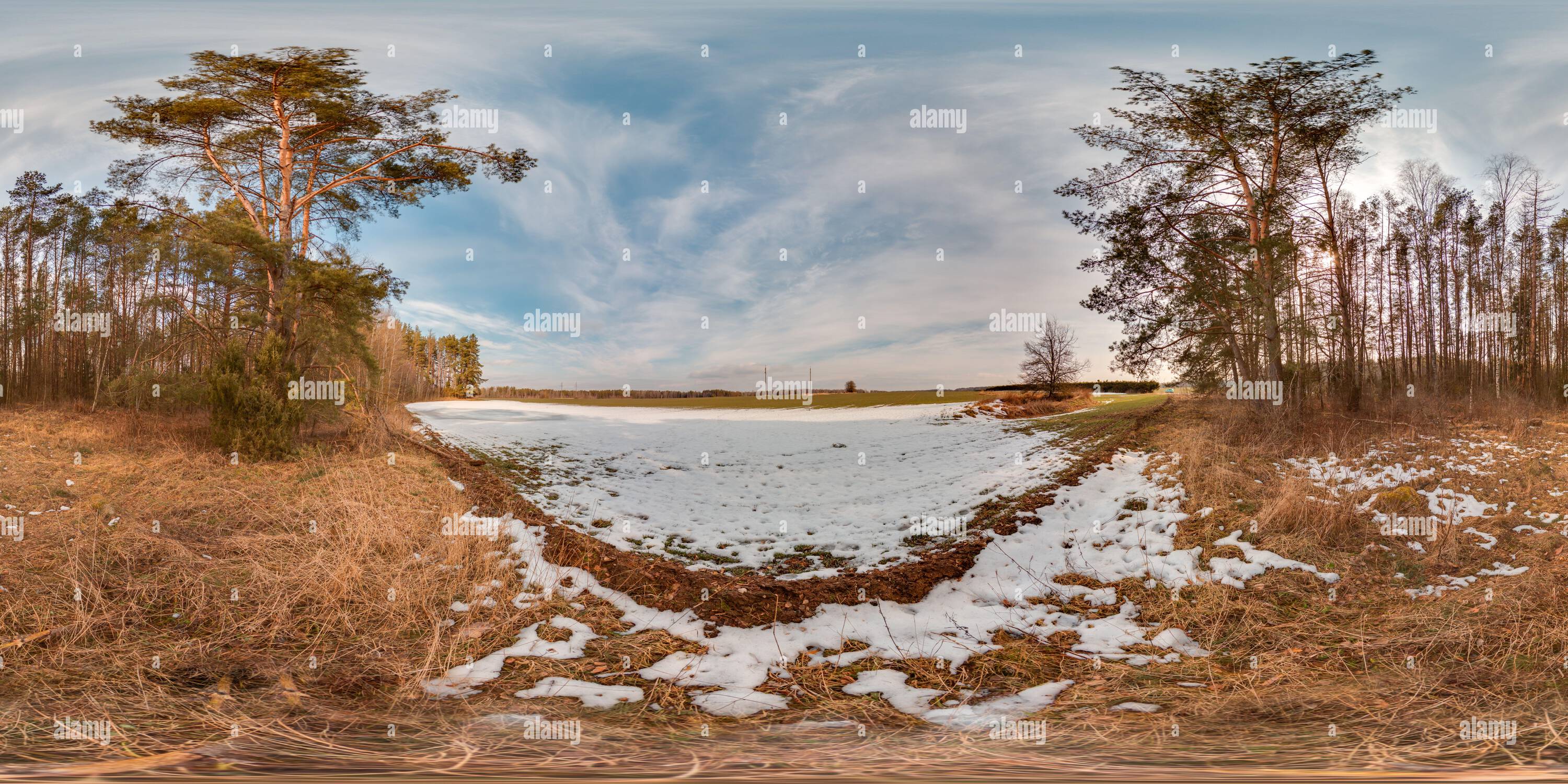 360° view of Amazing landscape with blue sky at spring trees without ...