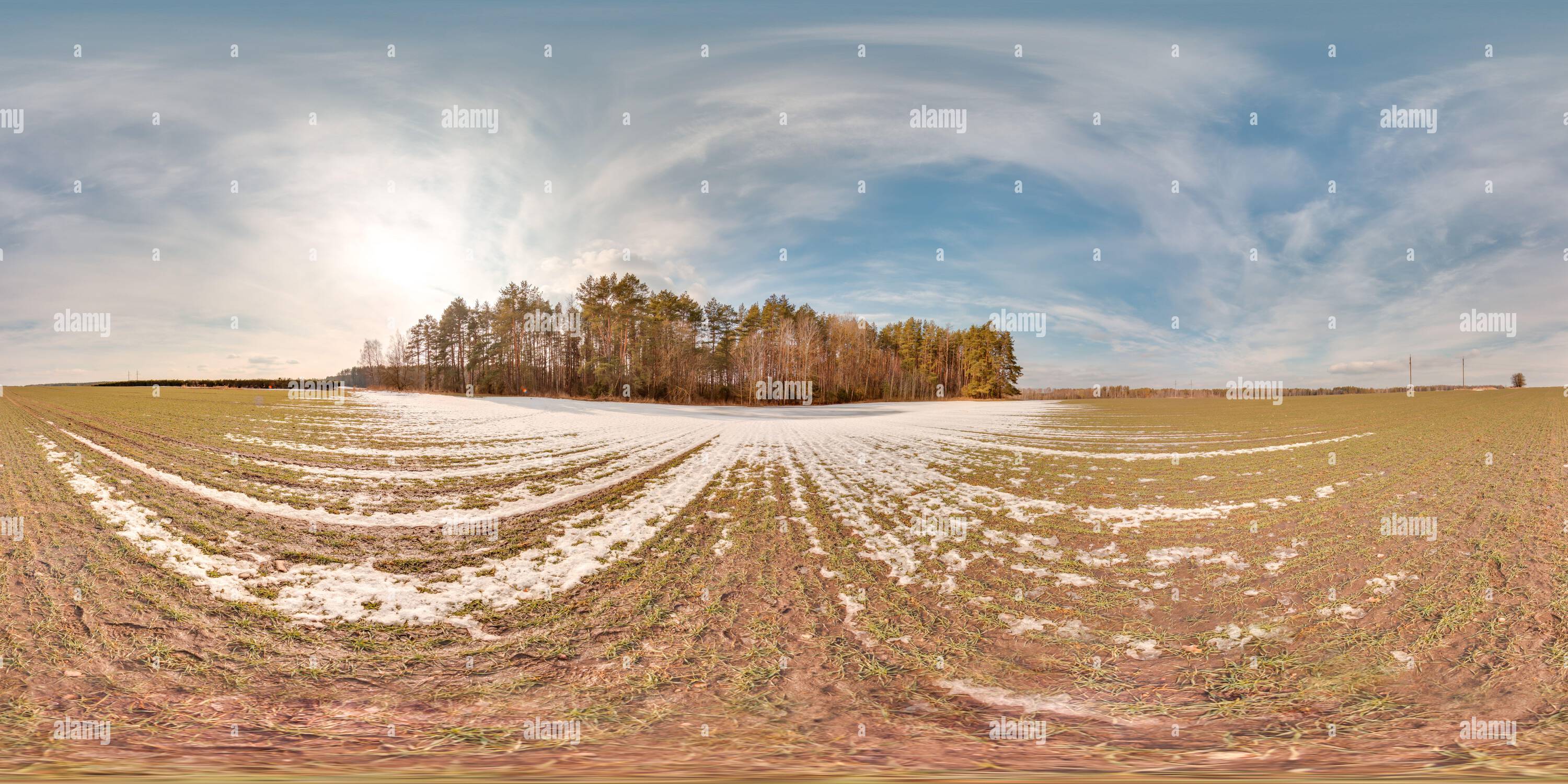360° view of Amazing landscape with blue sky at spring trees without ...