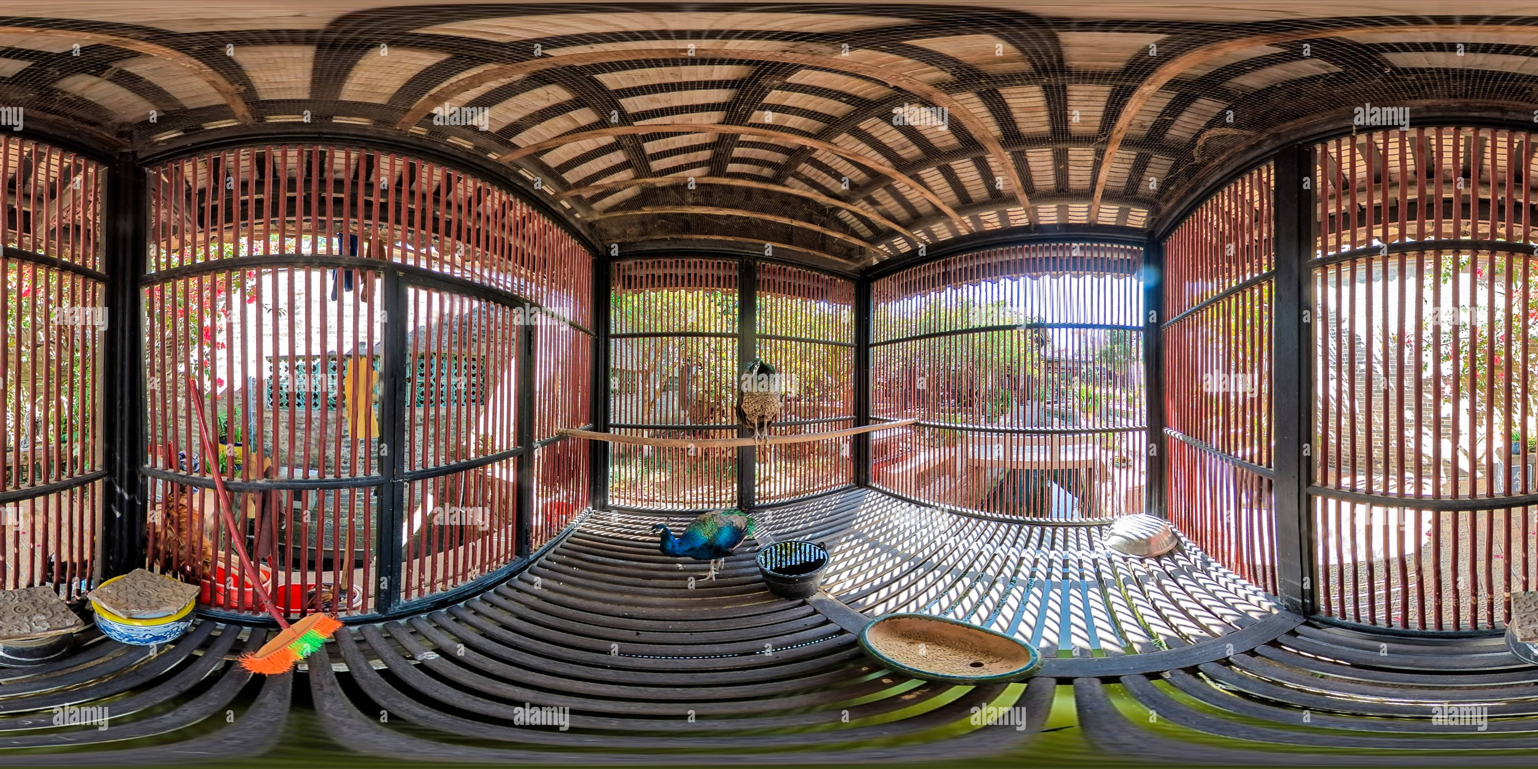 360° view of The Peacock's House - Alamy