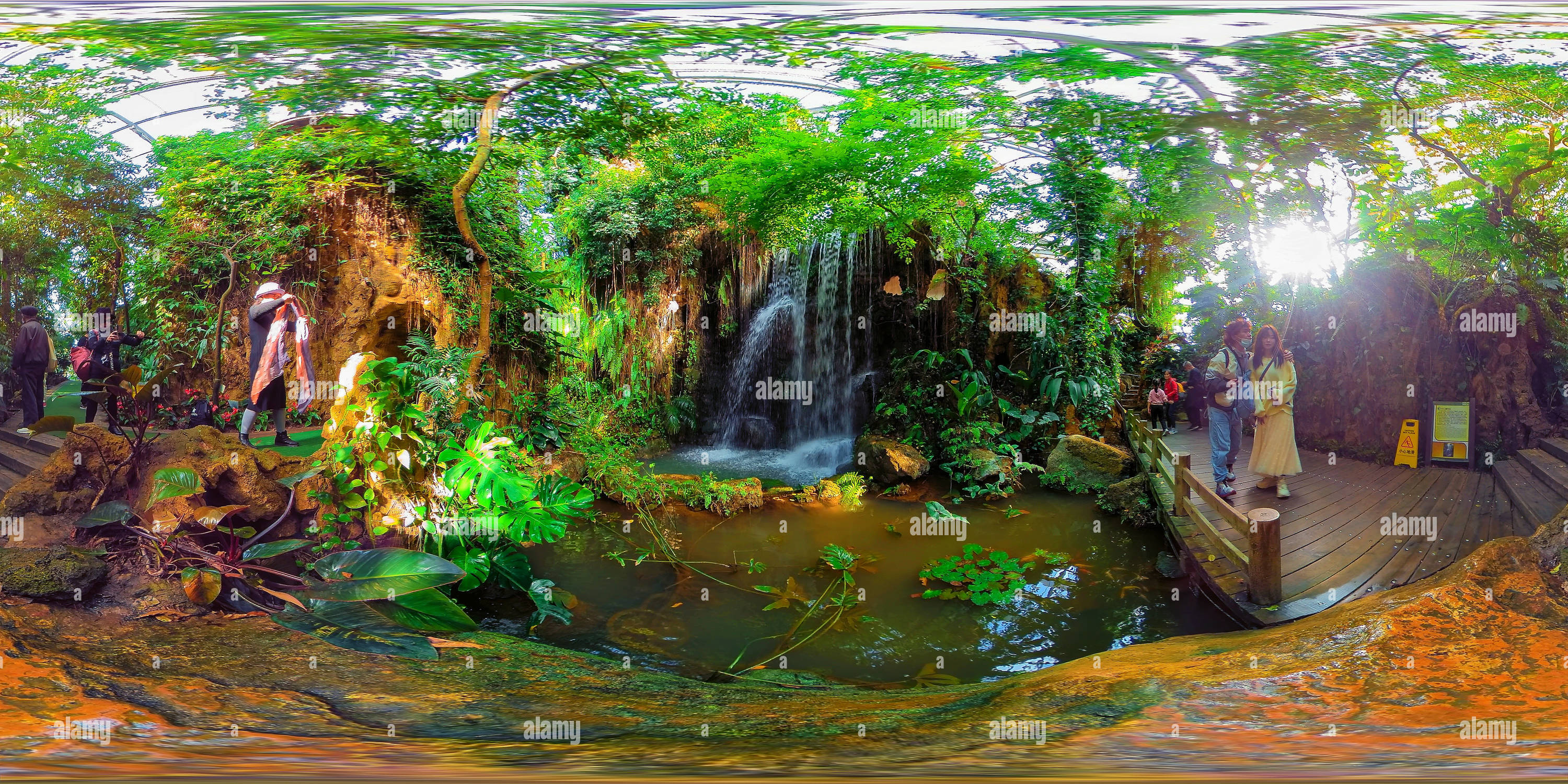 360° view of Tropical Rainforest, South China Botanical Garden热带雨林 - Alamy