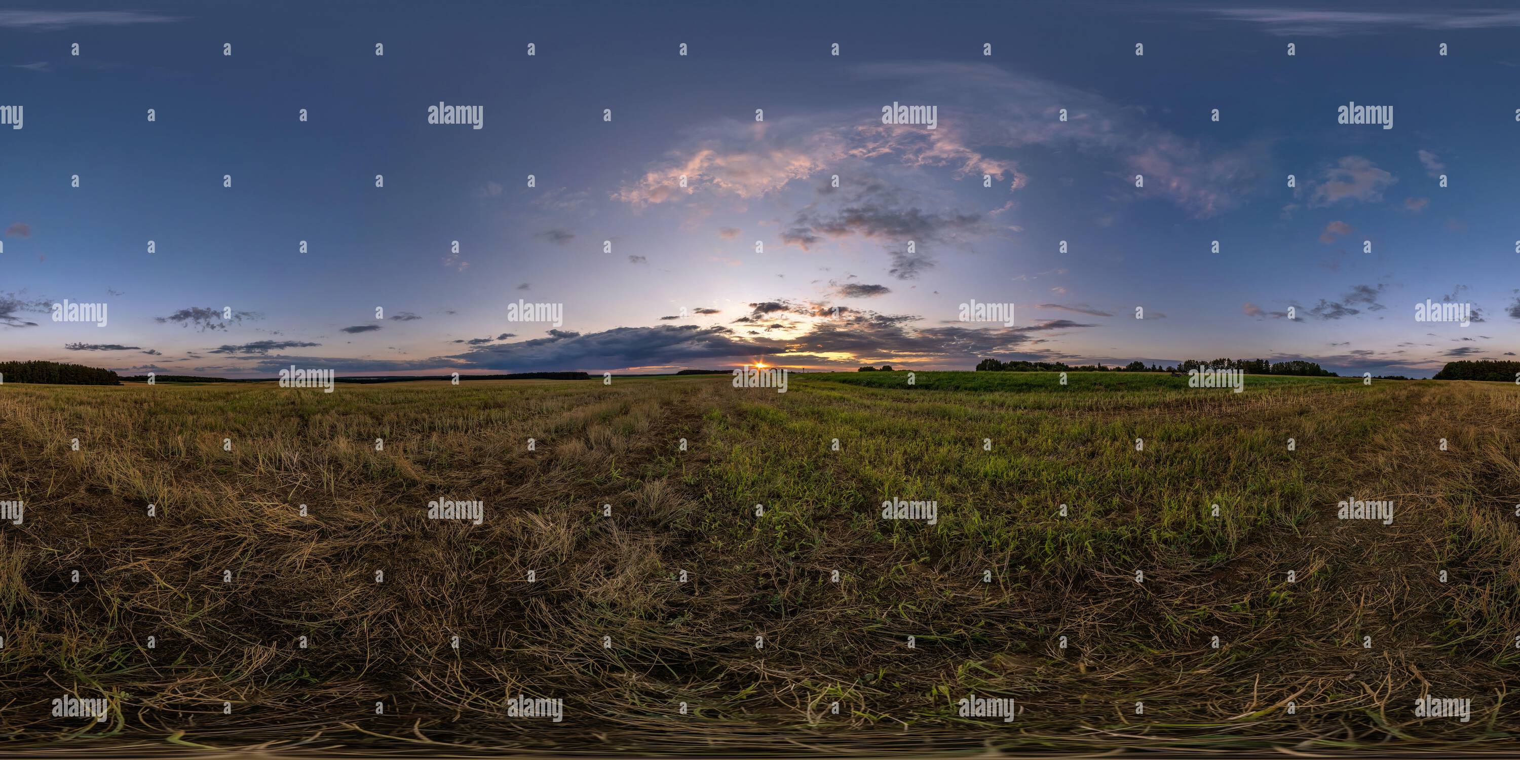 360° view of evening sunset hdr panorama 360 view among farming fields ...