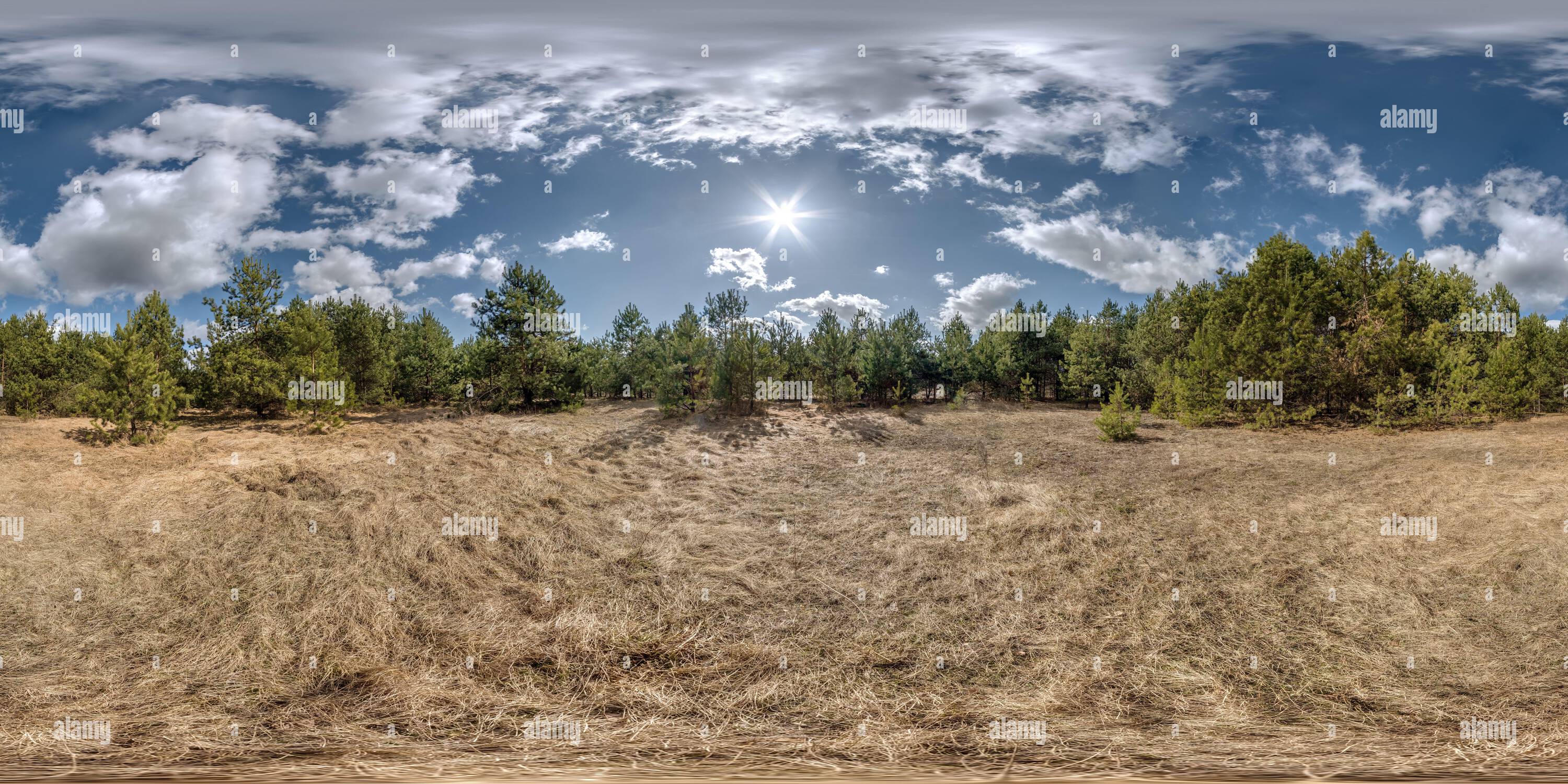 360° view of full spherical 360 hdri panorama view on edge of pinery ...