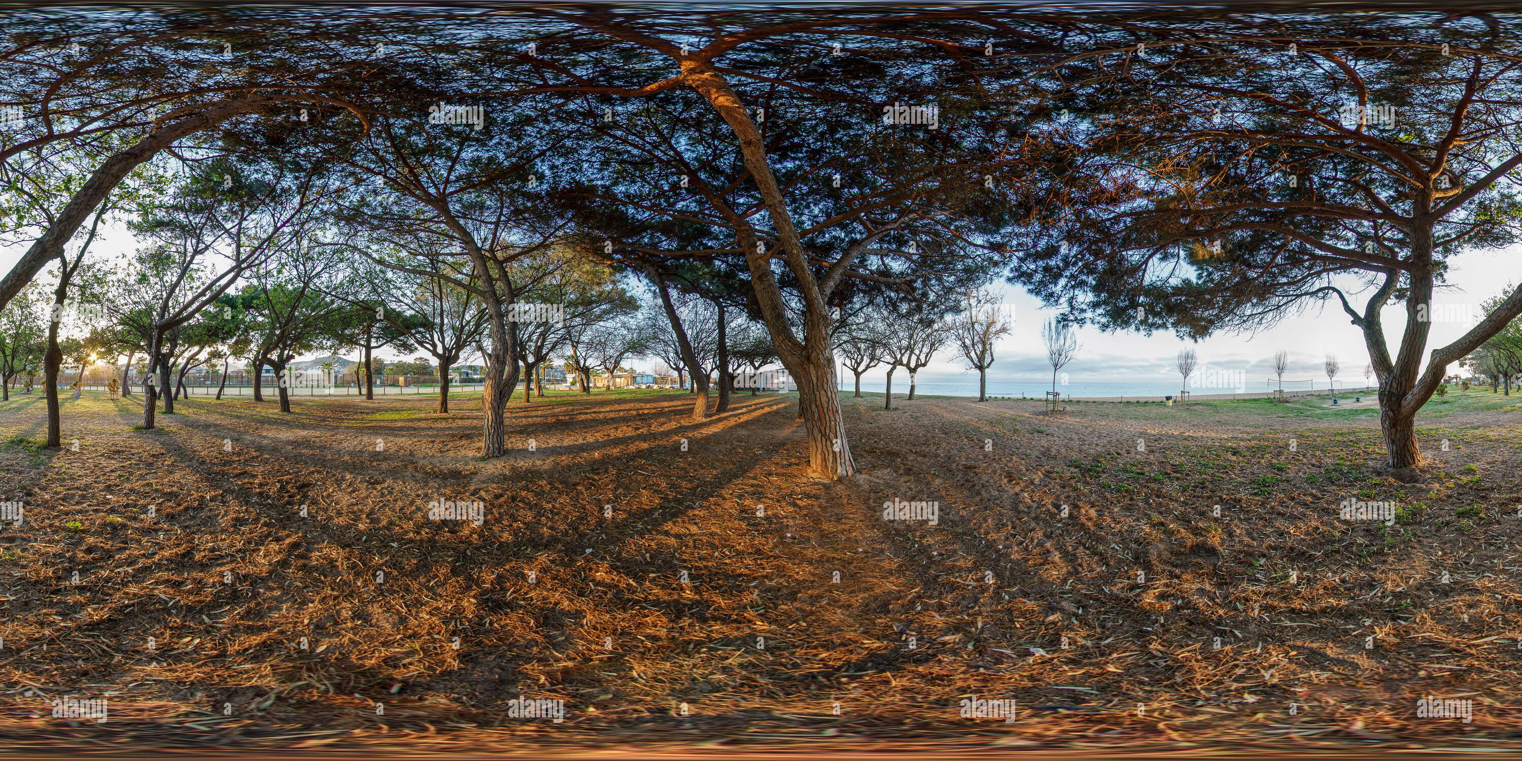 360° view of Pines beach, Pineda de Mar - Alamy