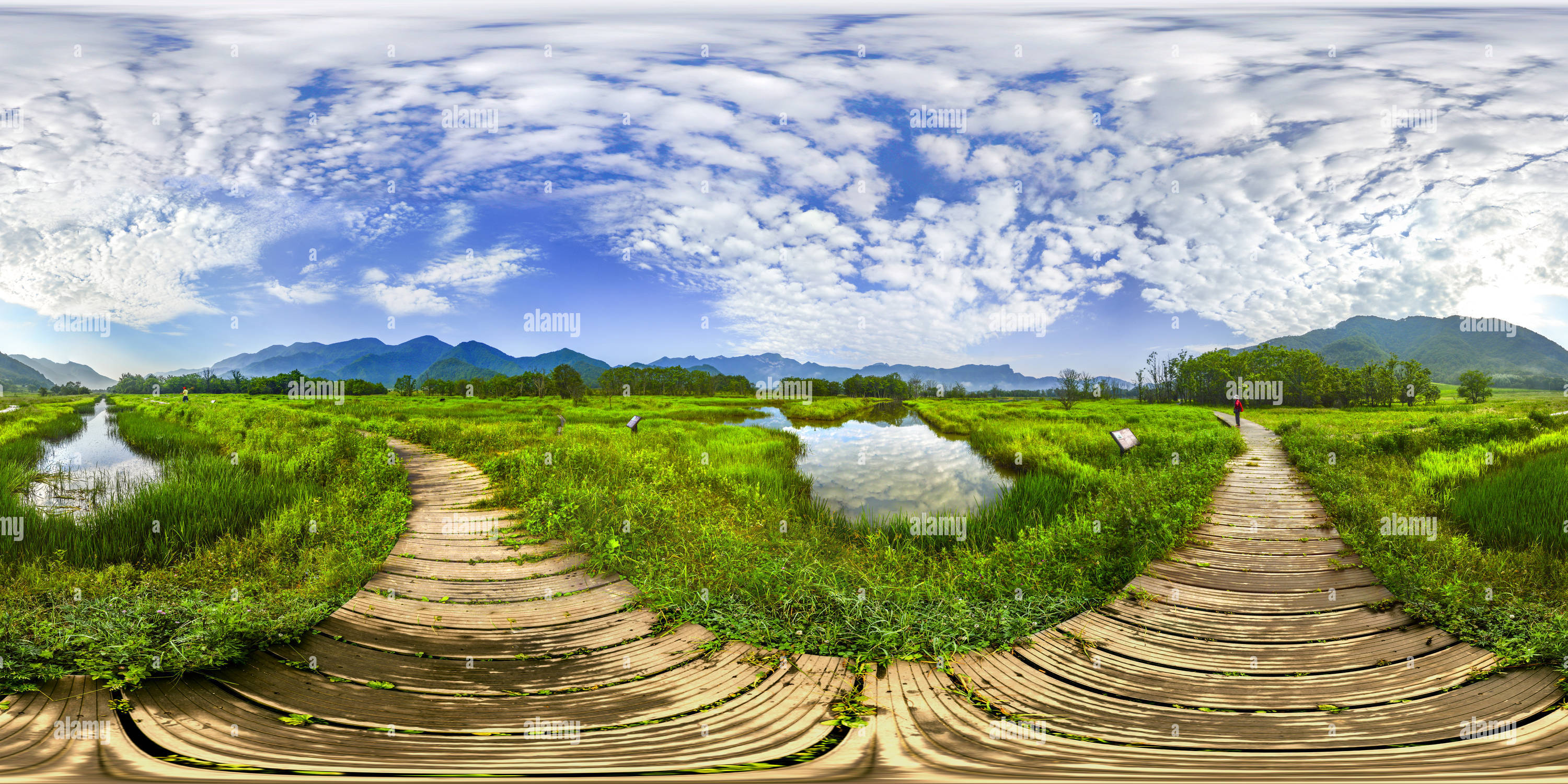 Dajiuhu lake wetland park shennongjia hubei china streams plateau ...