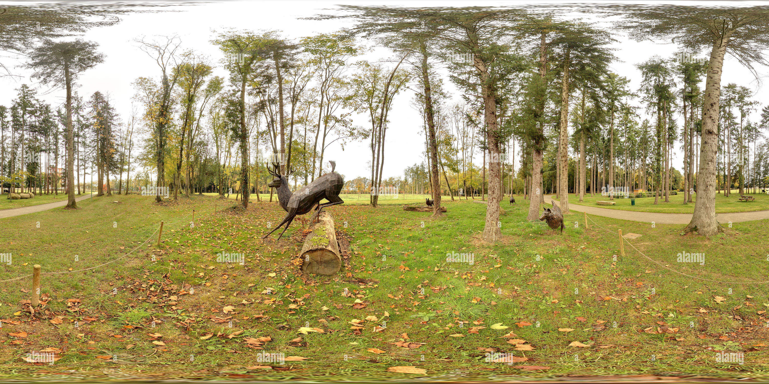 360° view of Deer chased by wolves - Alamy