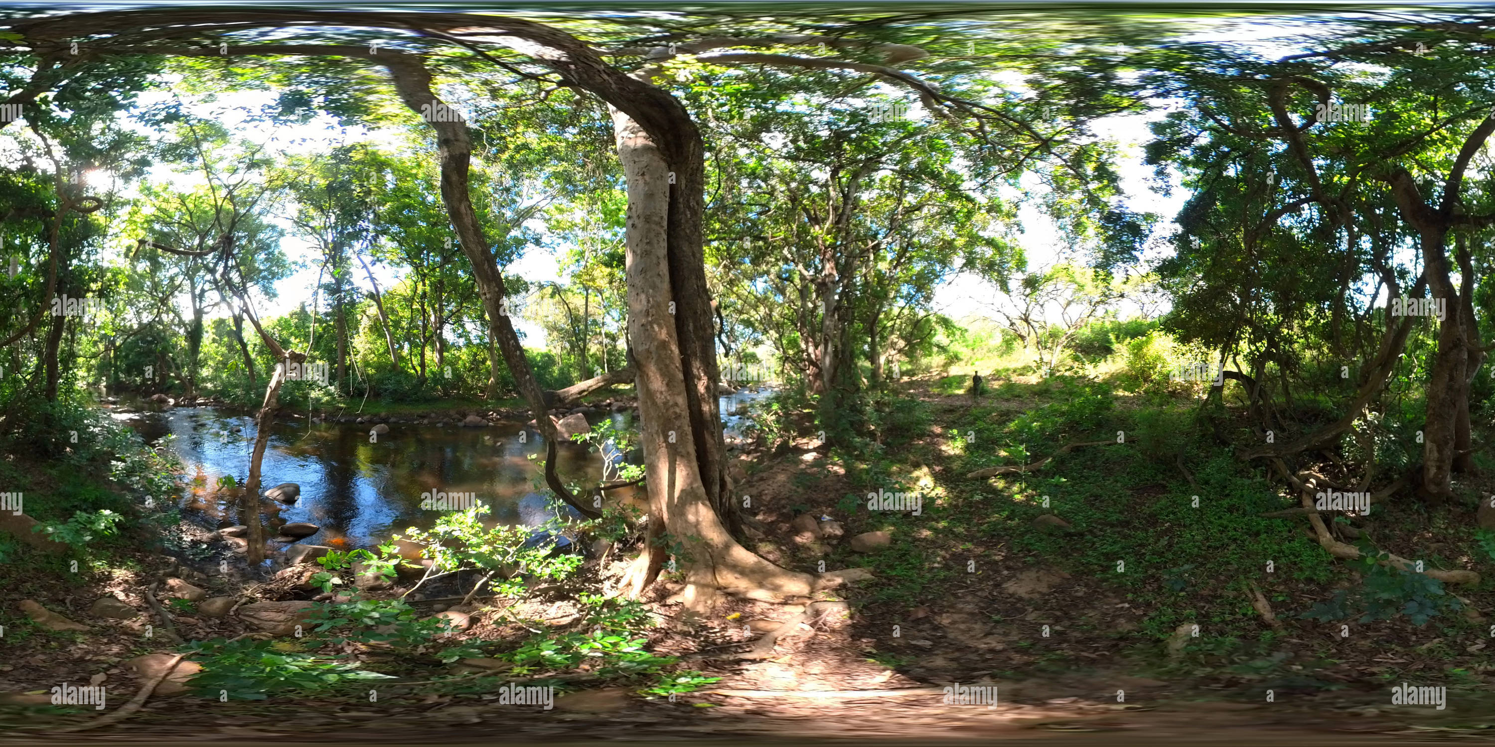 360° view of Chinnar wild life sanctuary - Alamy